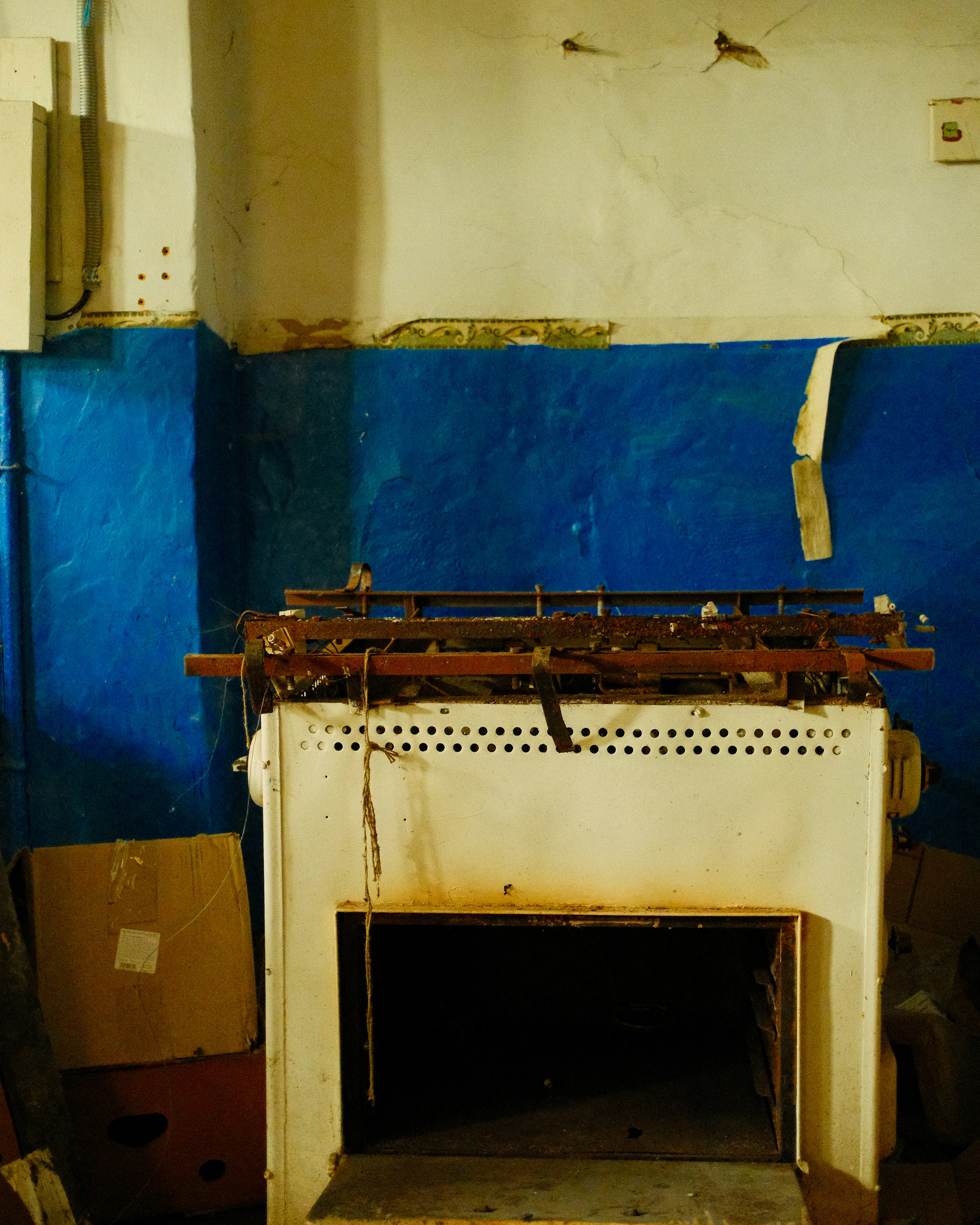 Electrical Appliances Pictures | Download Free Images on Unsplash