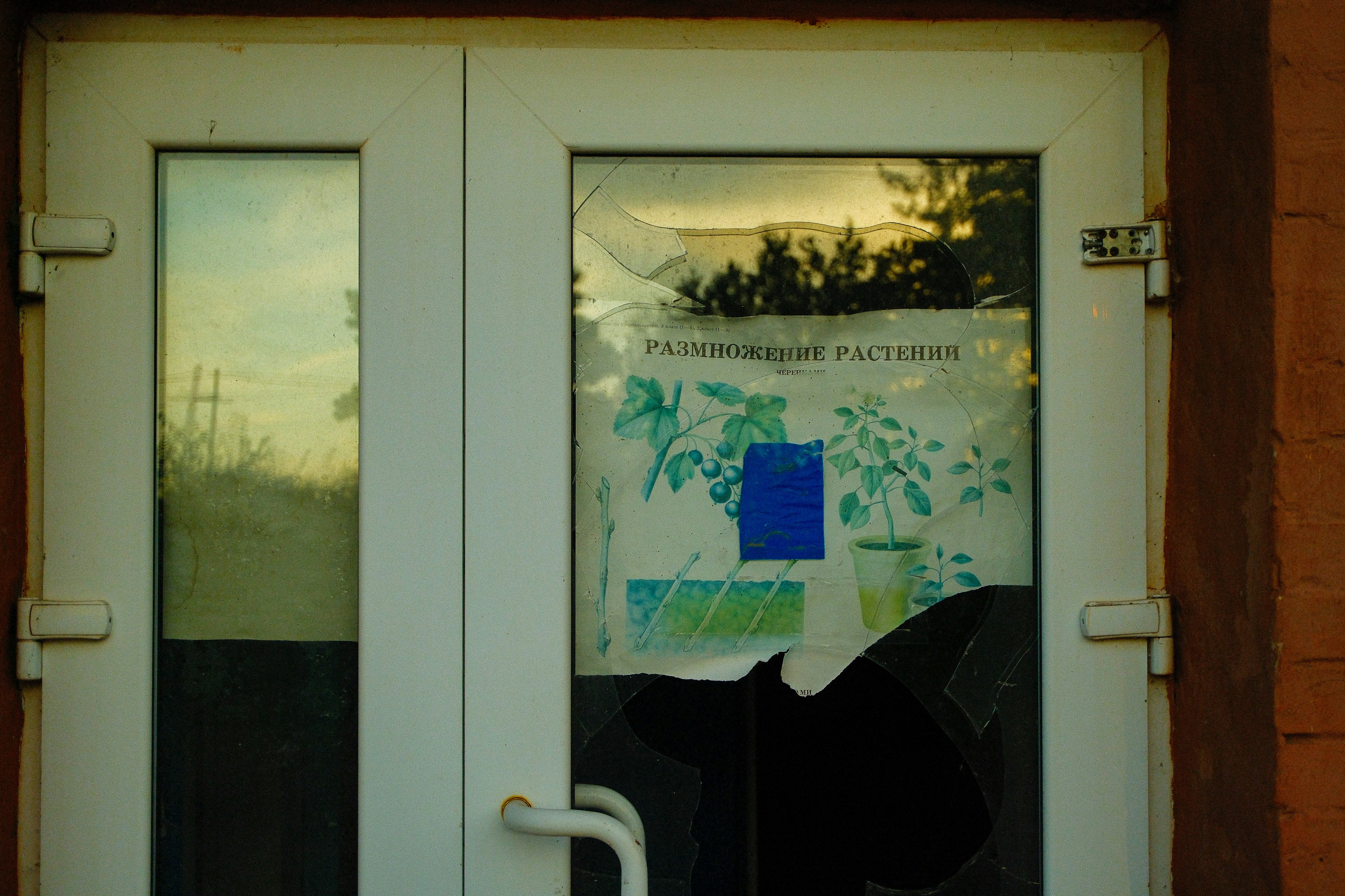Broken glass door with plant poster inside.