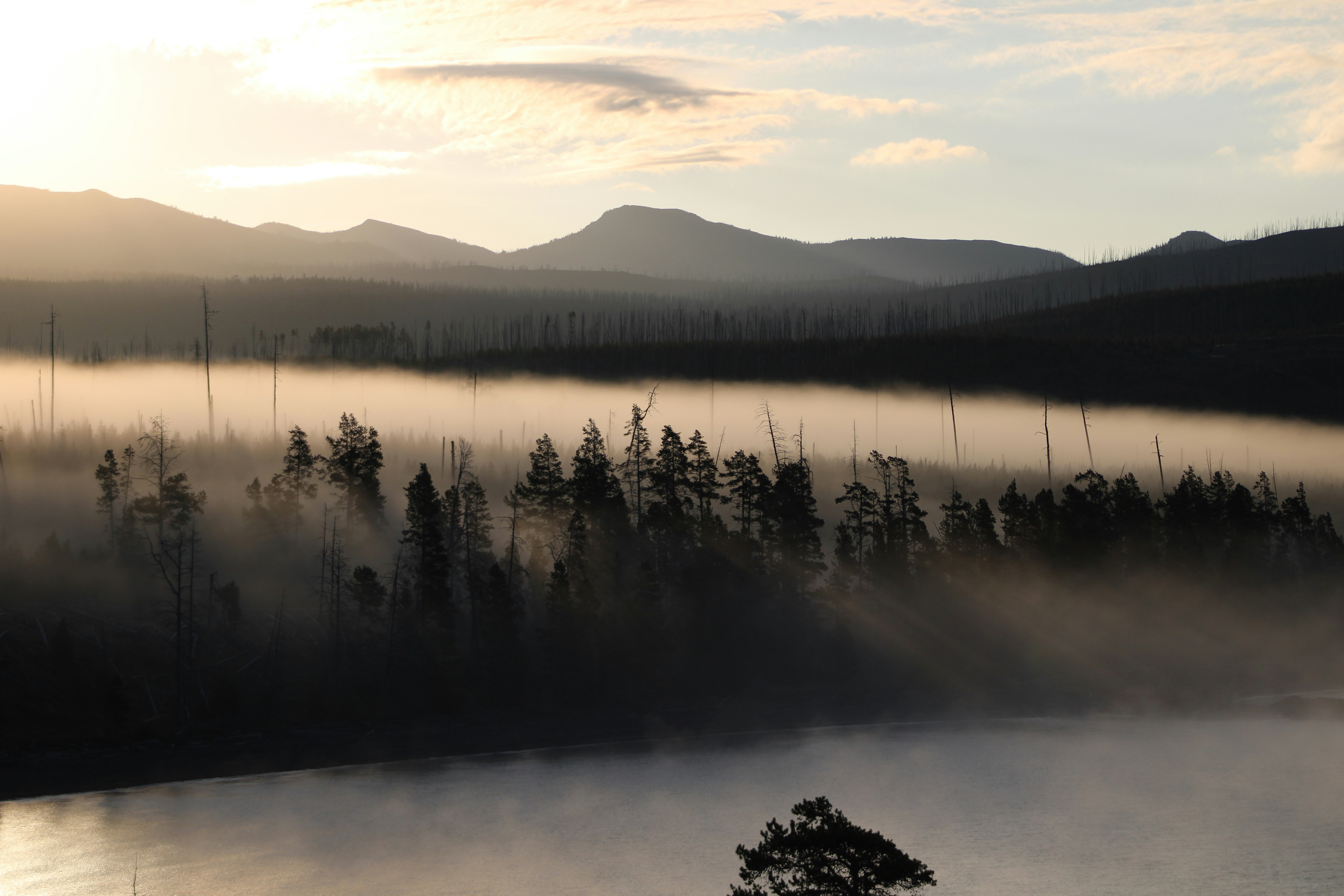 Mysterious Expanse | Misty forest landscape with mountains at sunrise.