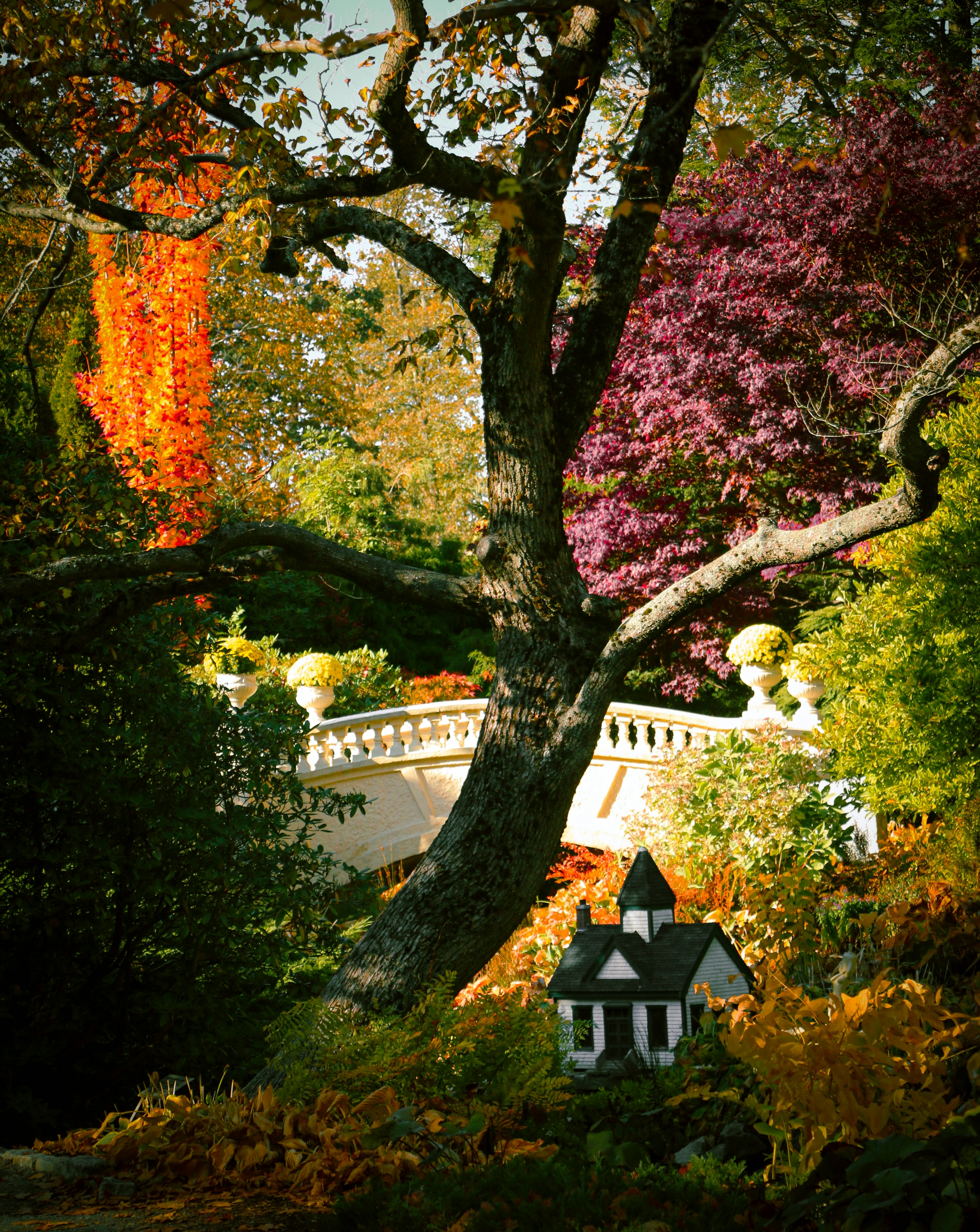 Whispers of Autumn: A Garden's Embrace