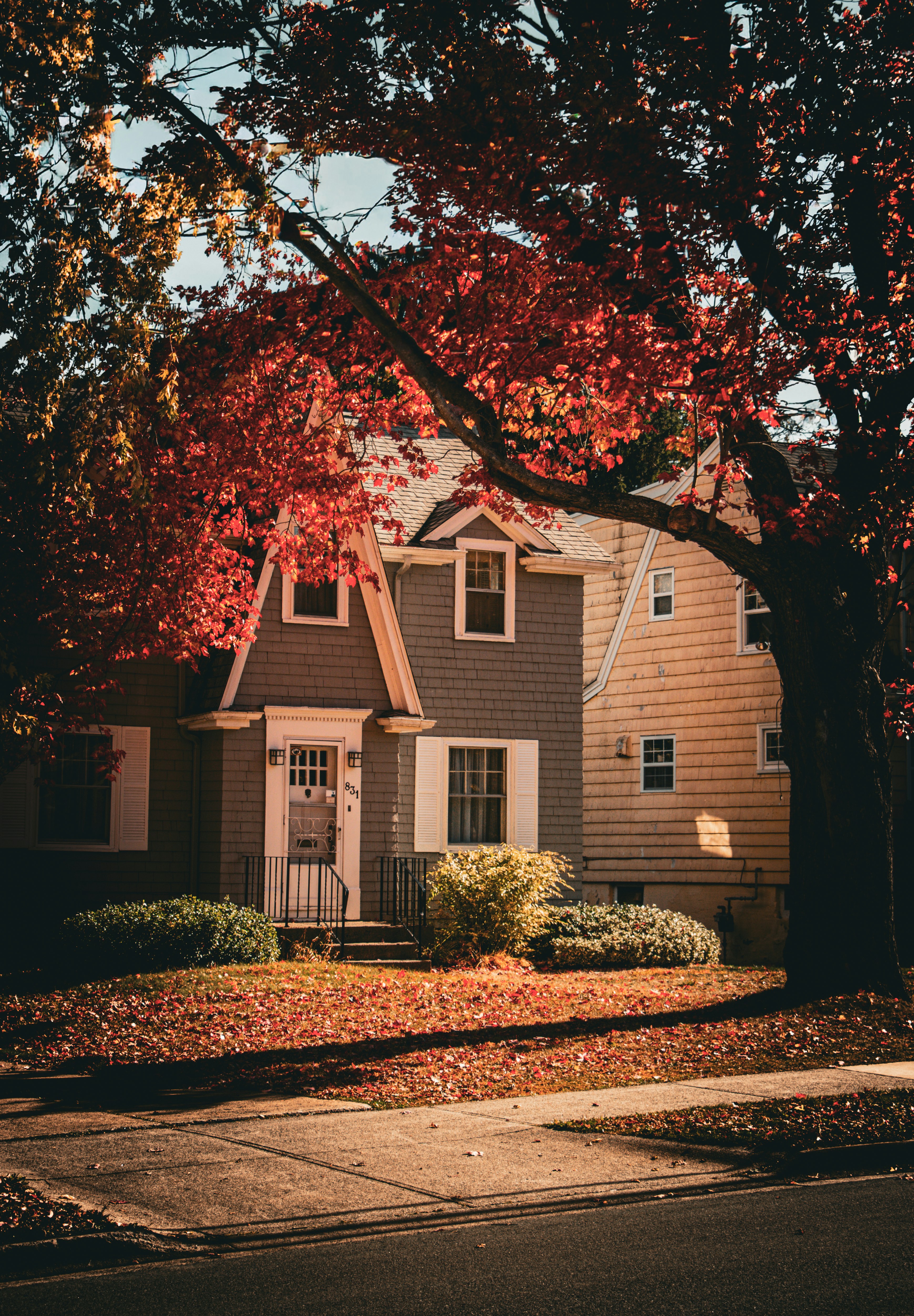 A cozy house framed by vibrant autumn foliage, with fallen leaves carpeting the front yard.