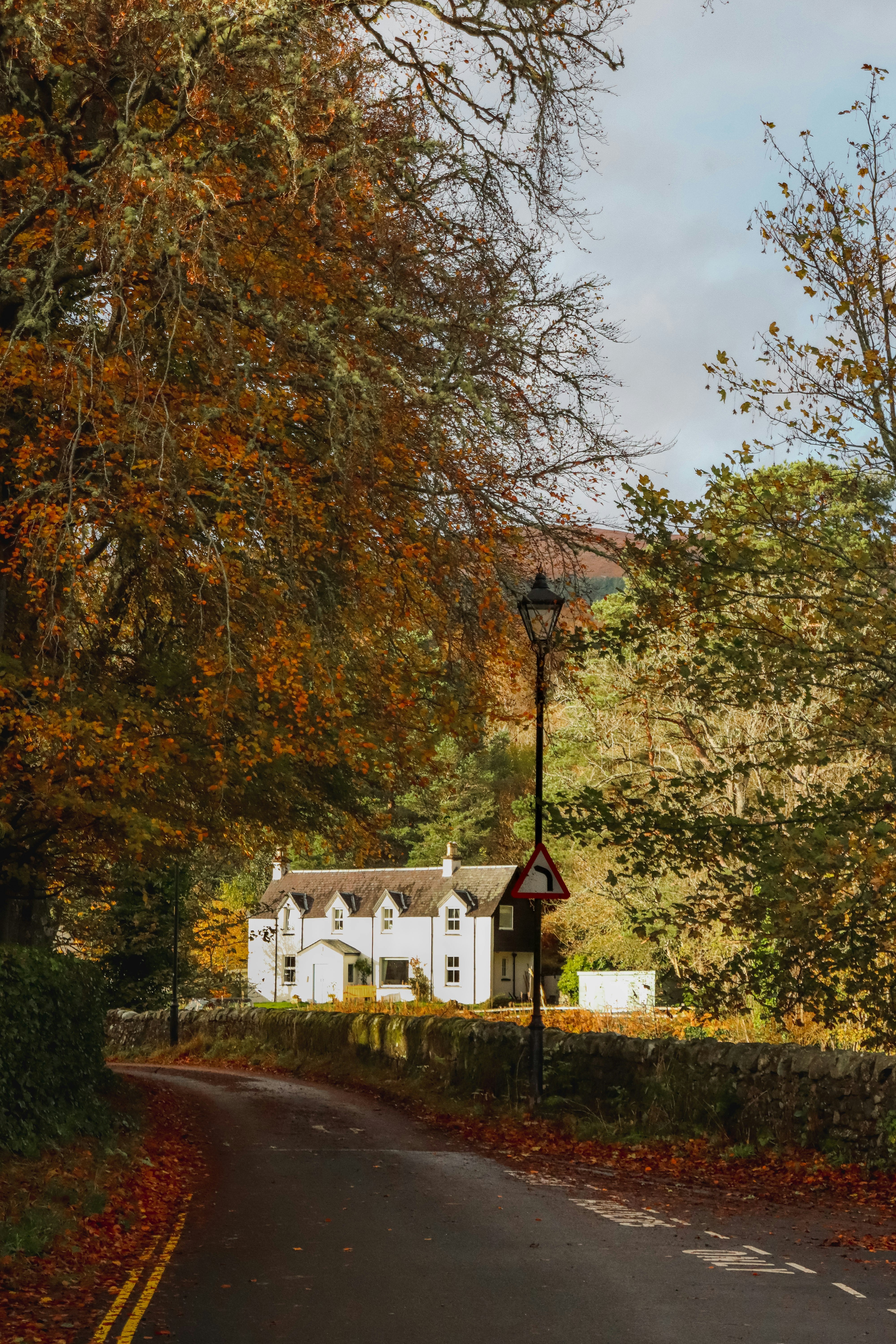 Autumn's Embrace: A Serene Retreat