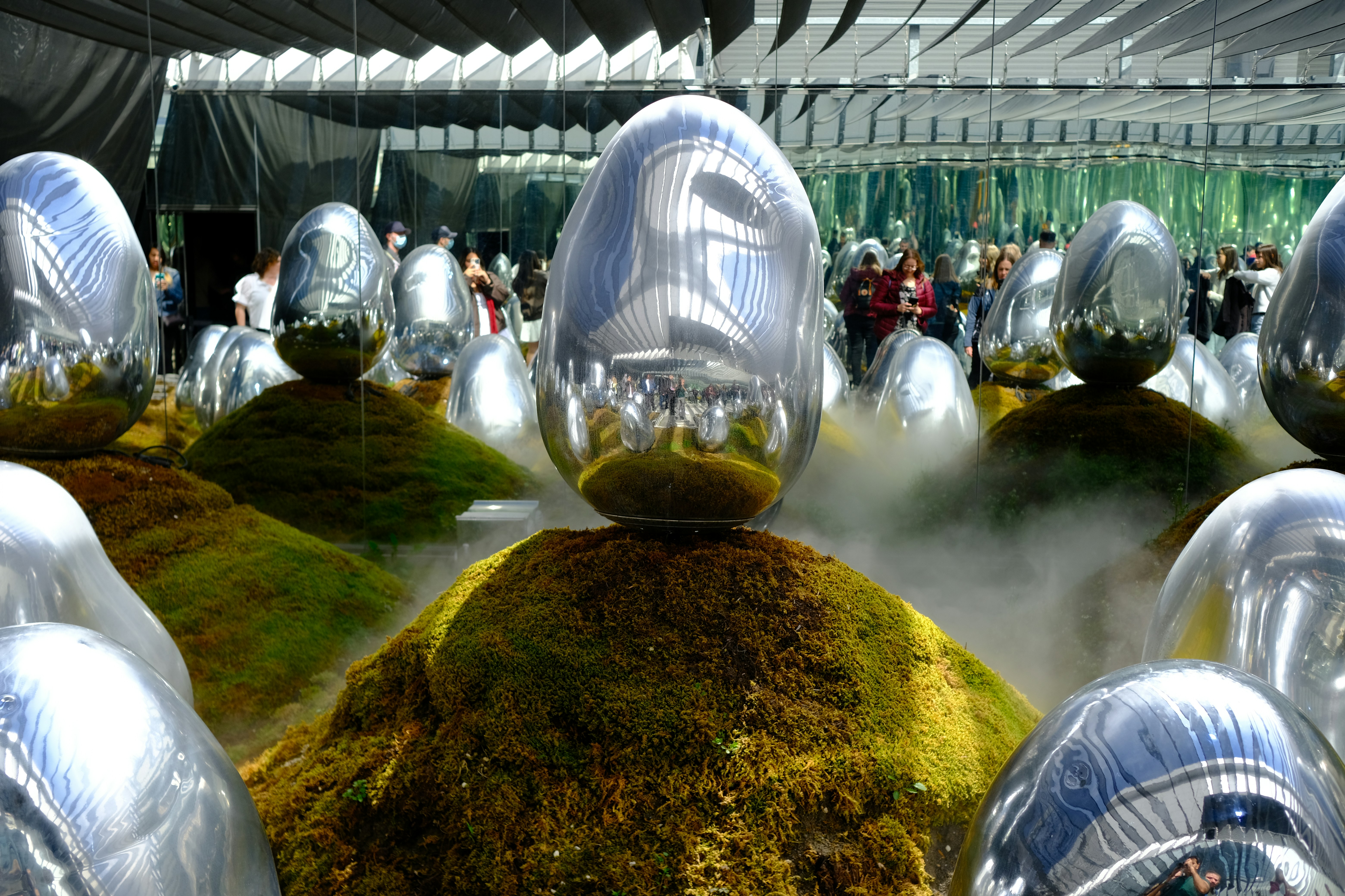 TeamLab Japan 2026: Discount Tickets + Complete Guide | Code ...