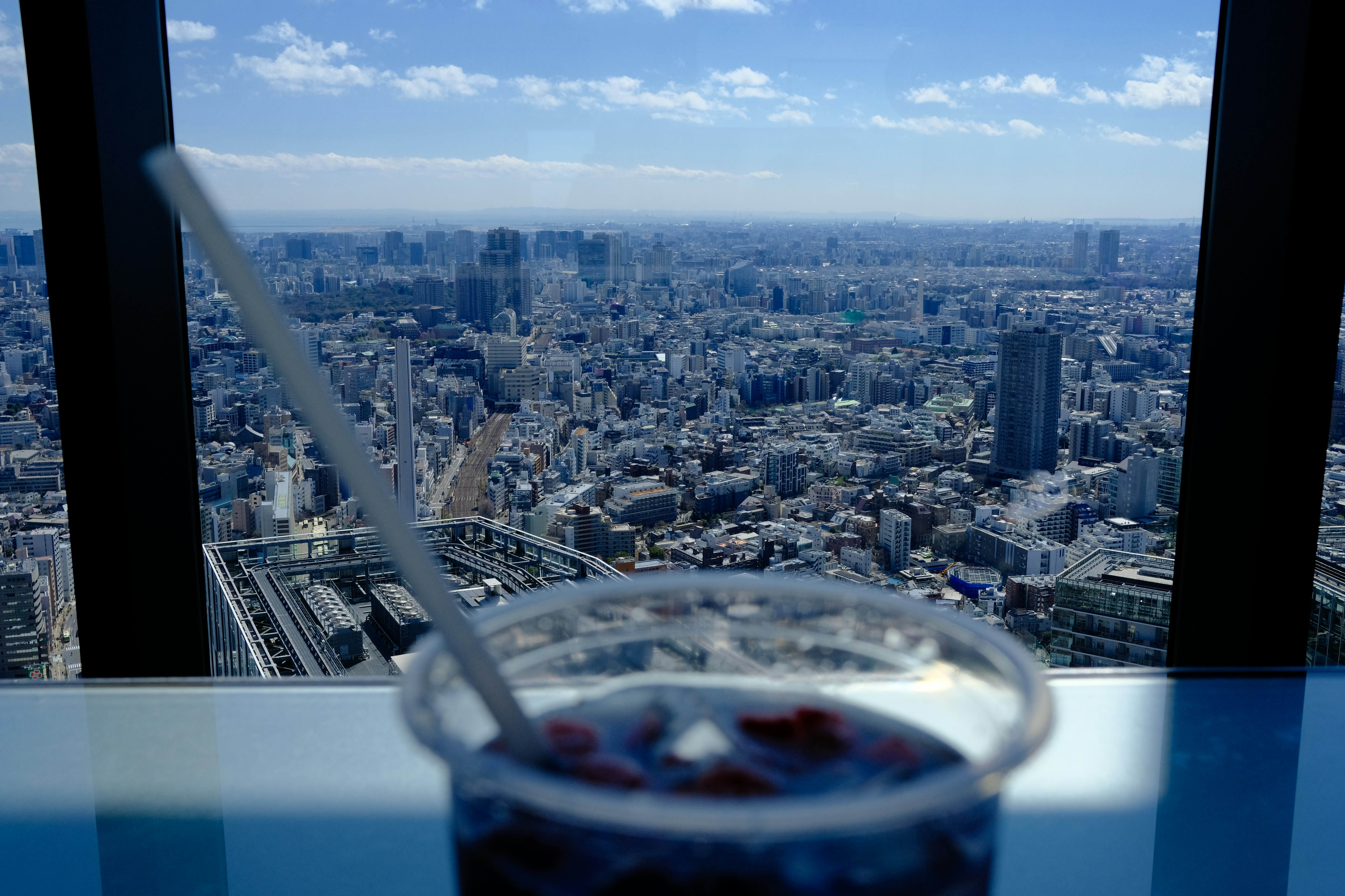 Urban Oasis: A Refreshing Perspective