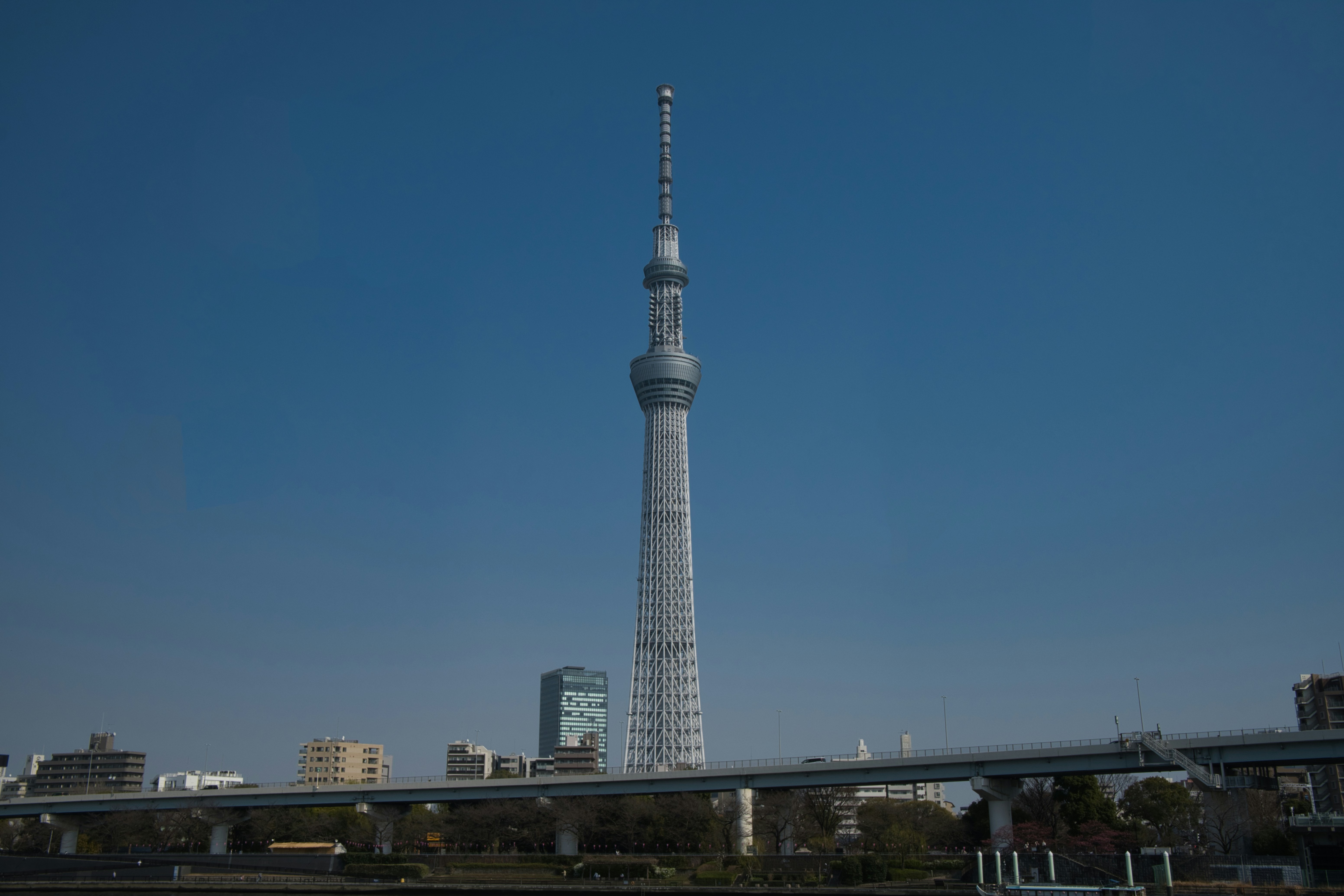 Skyward Elegance: The Towering Marvel of Tokyo