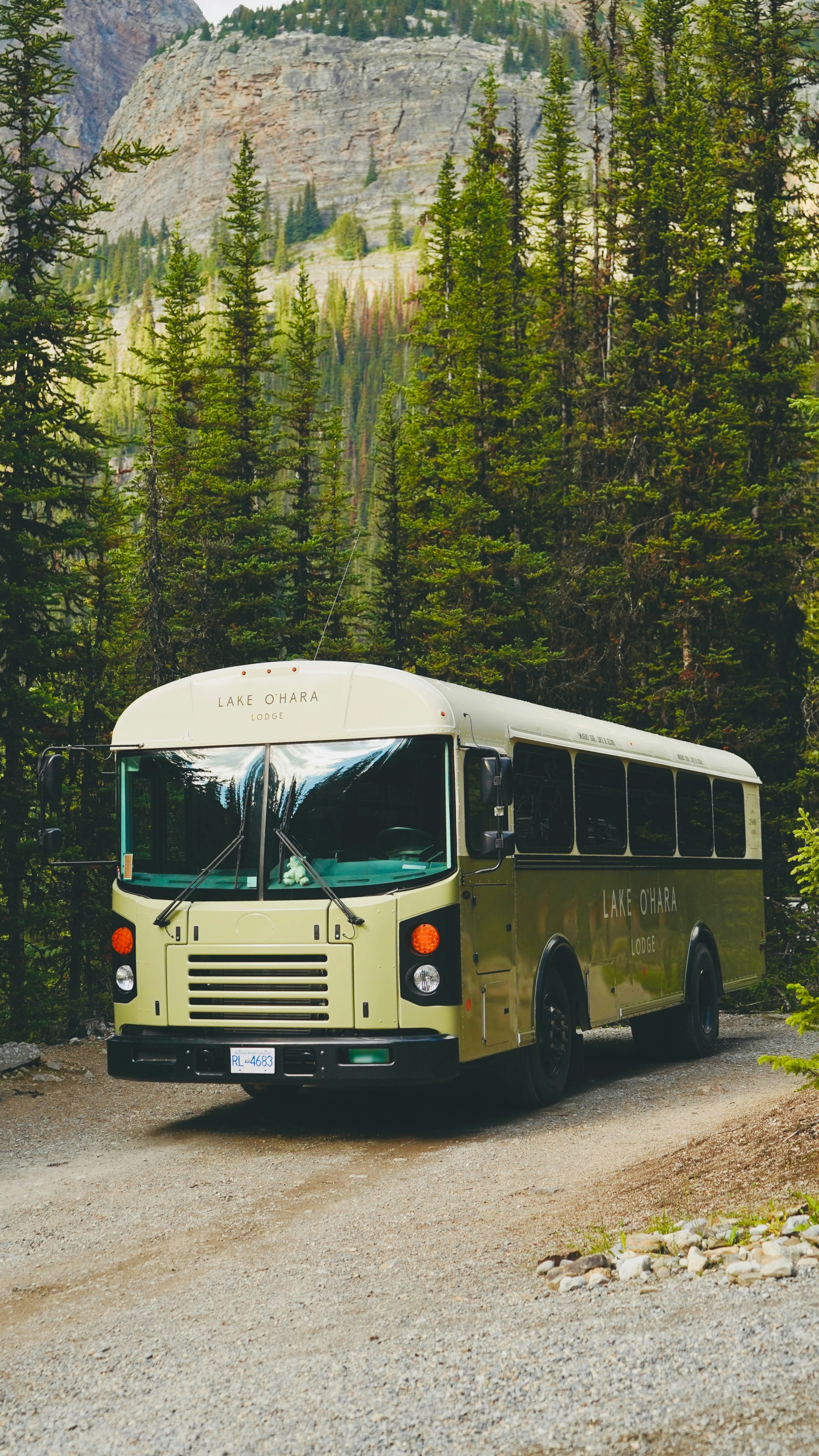 Vintage bus parked on a gravel road near forest.