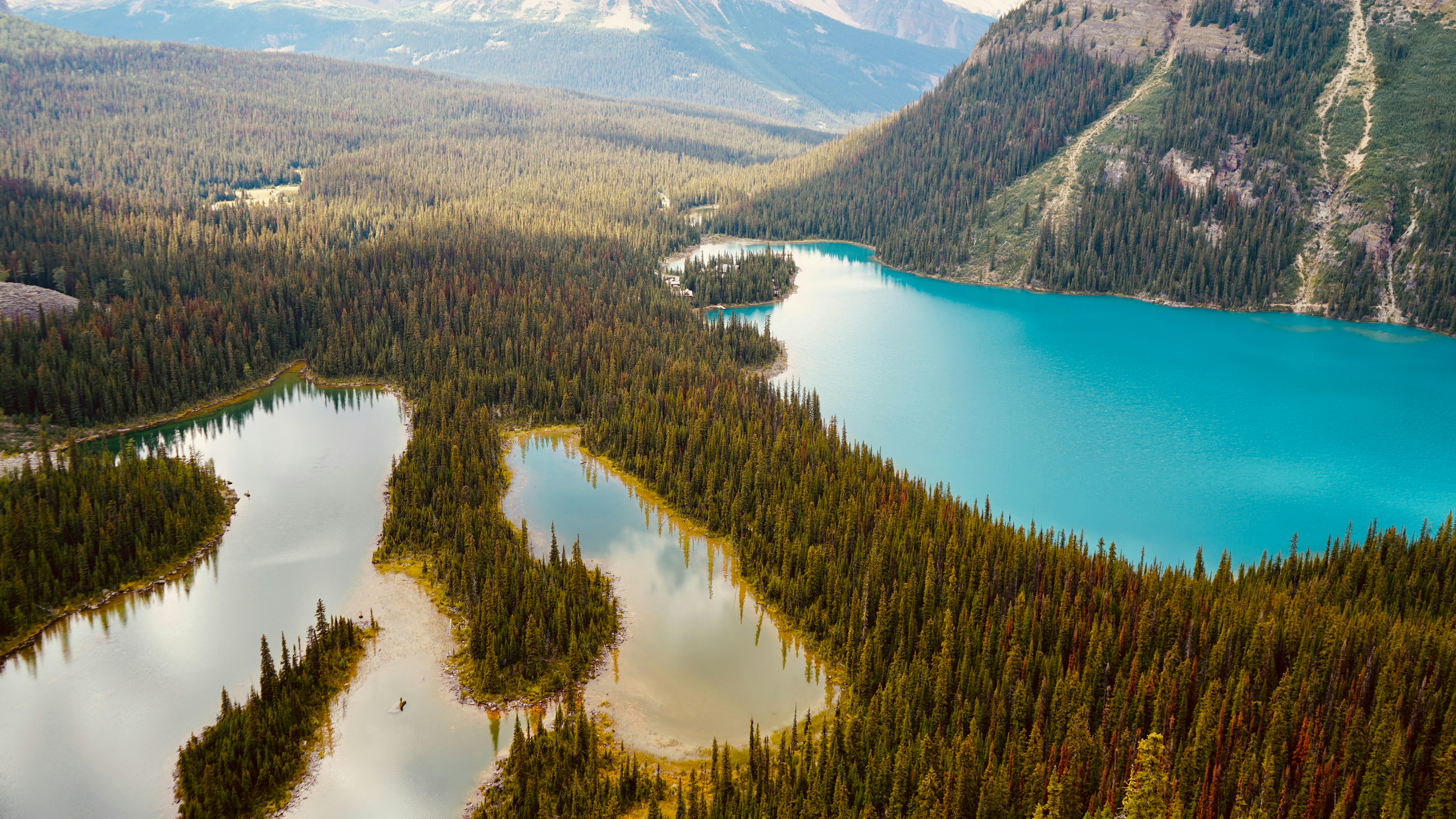 Vibrant turquoise lakes nestled among dense evergreen forests, showcasing a harmonious blend of nature's colors and textures.