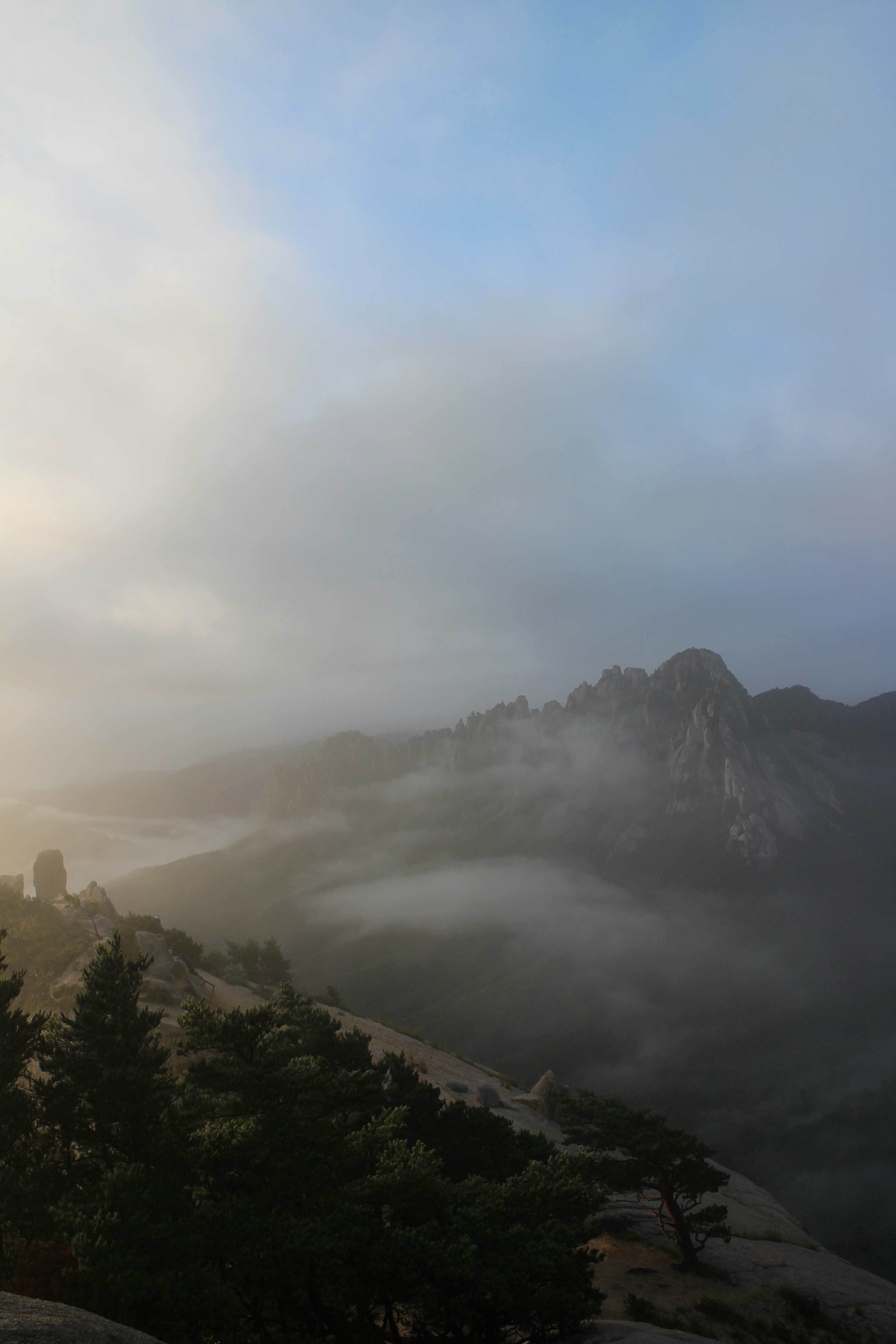 Whispers of the Misty Mountains