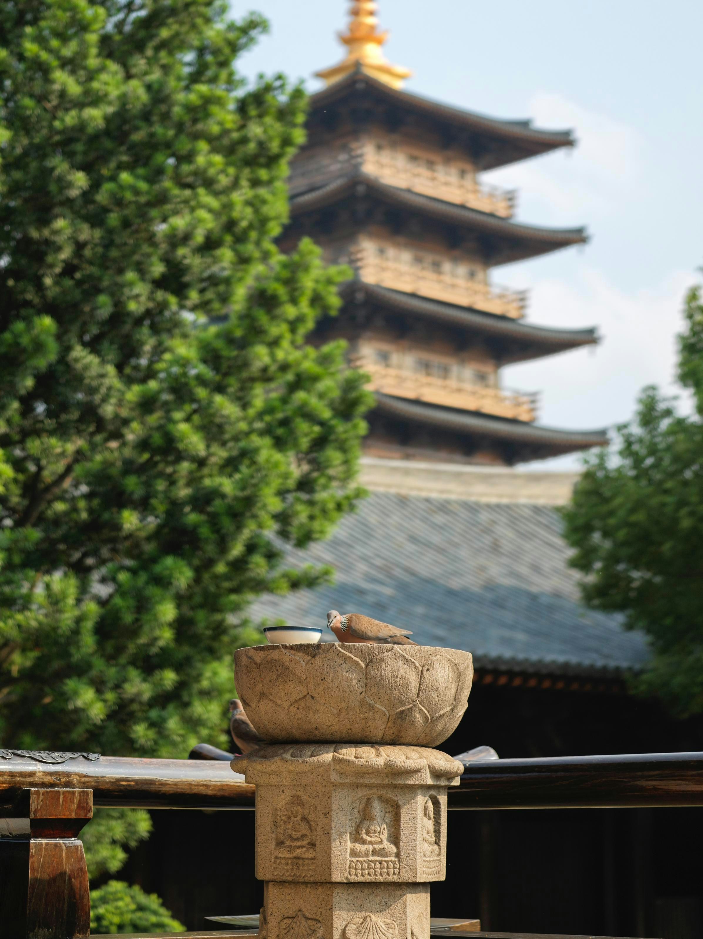 Pagoda behind a stone incense burner with bird.