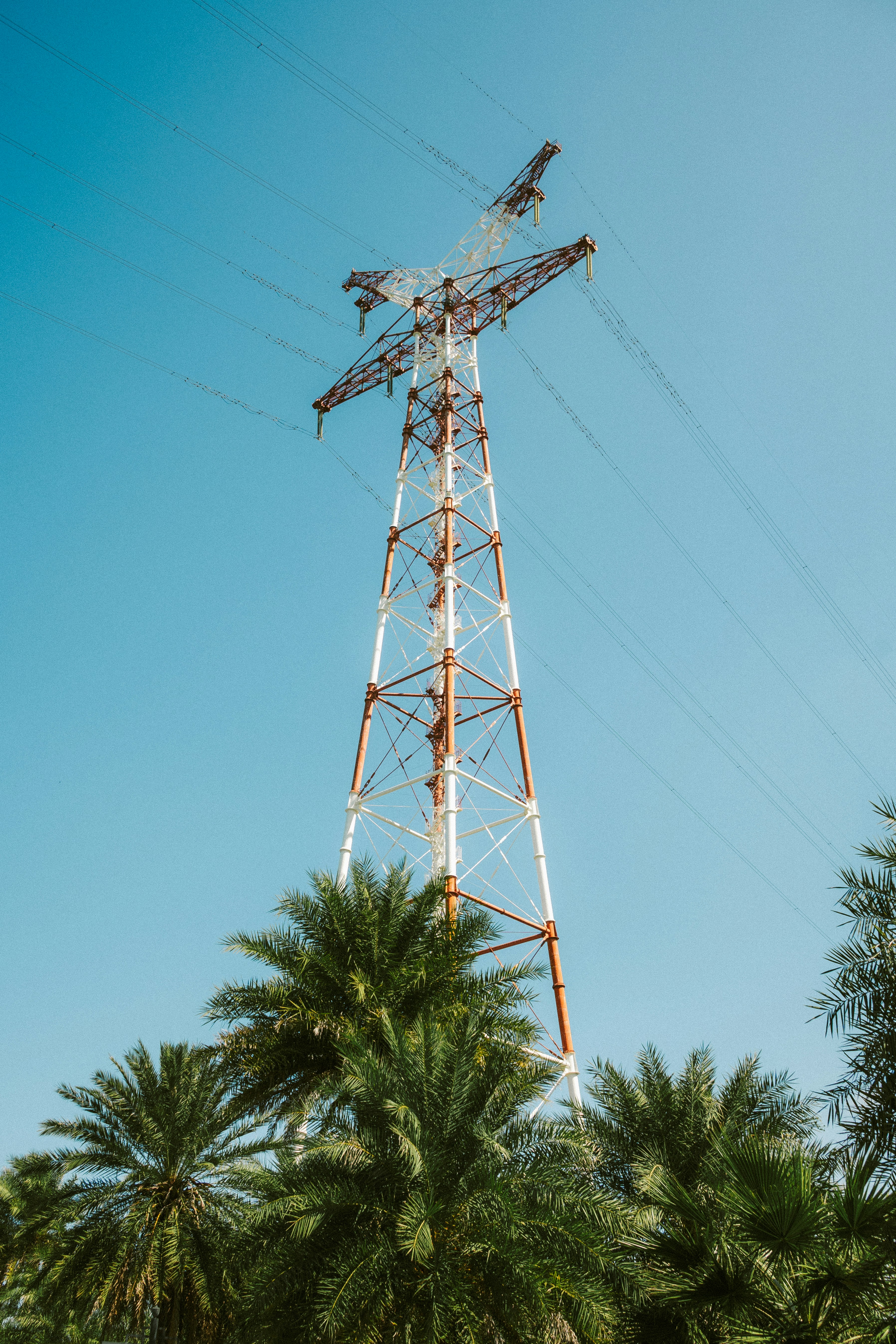 Electric Dreams: The Intersection of Nature and Technology