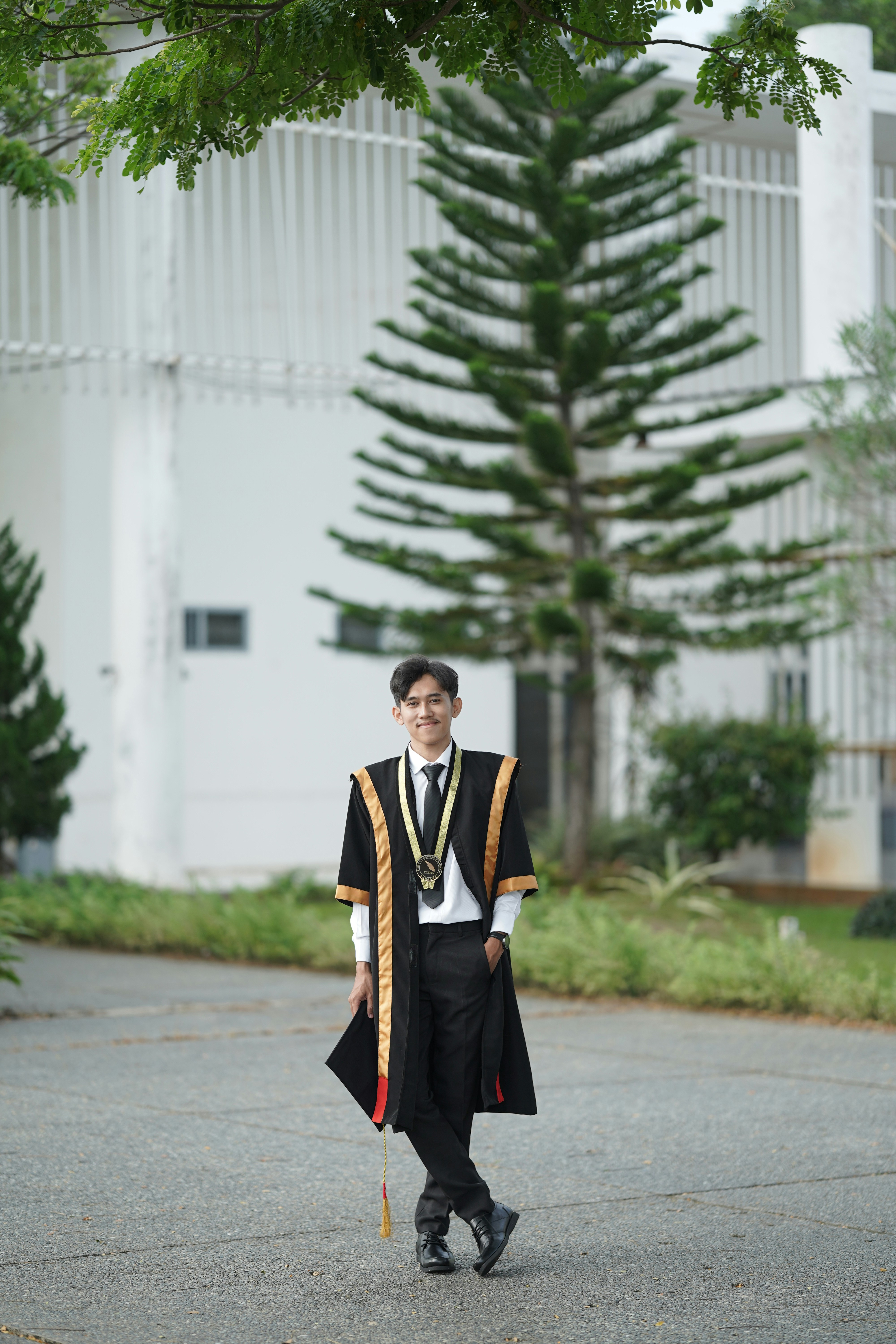 A Scholar's Triumph: Celebrating Achievement in Style