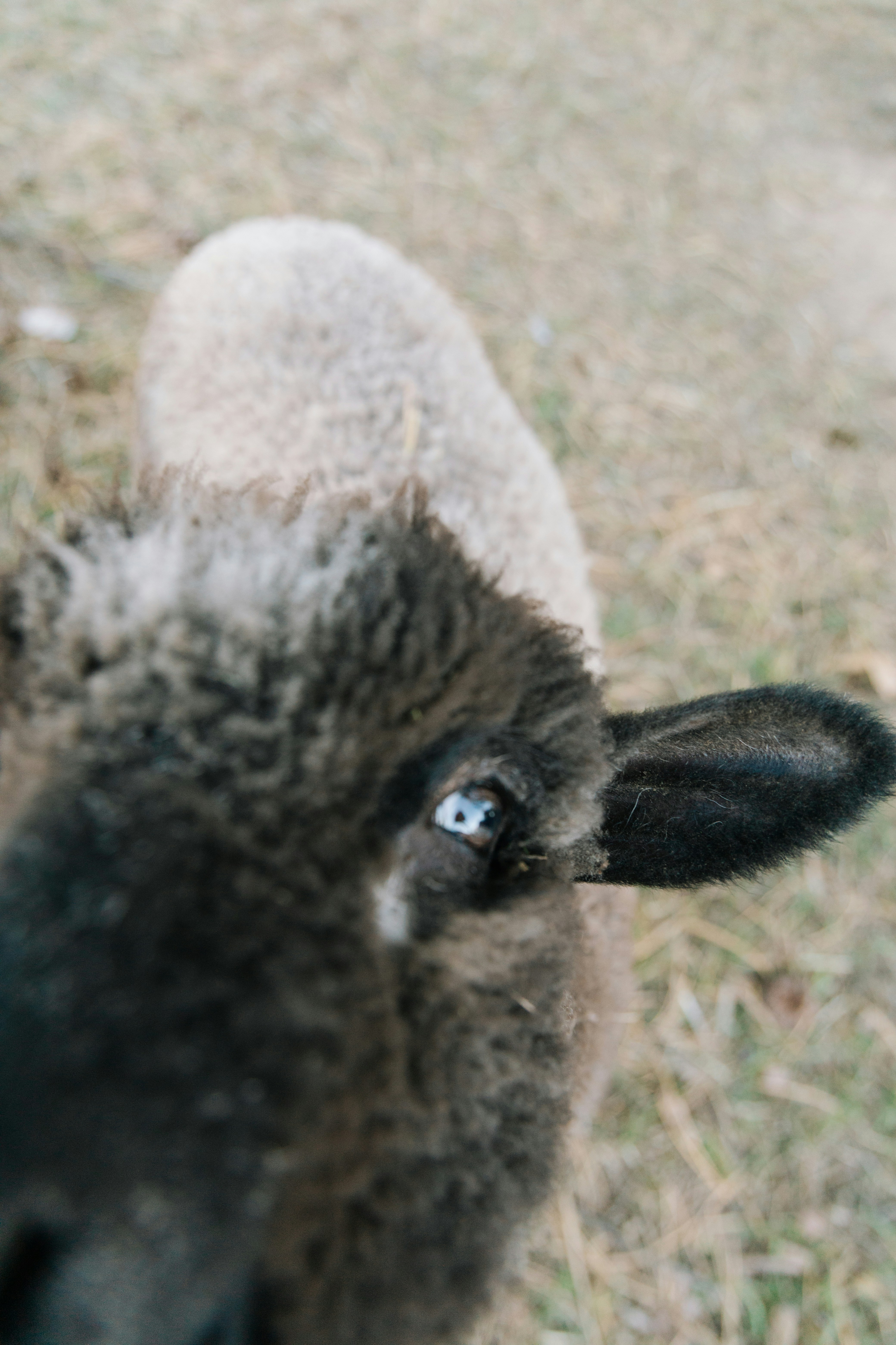 Photo by Elijah Pilchard with Canon EOS RP