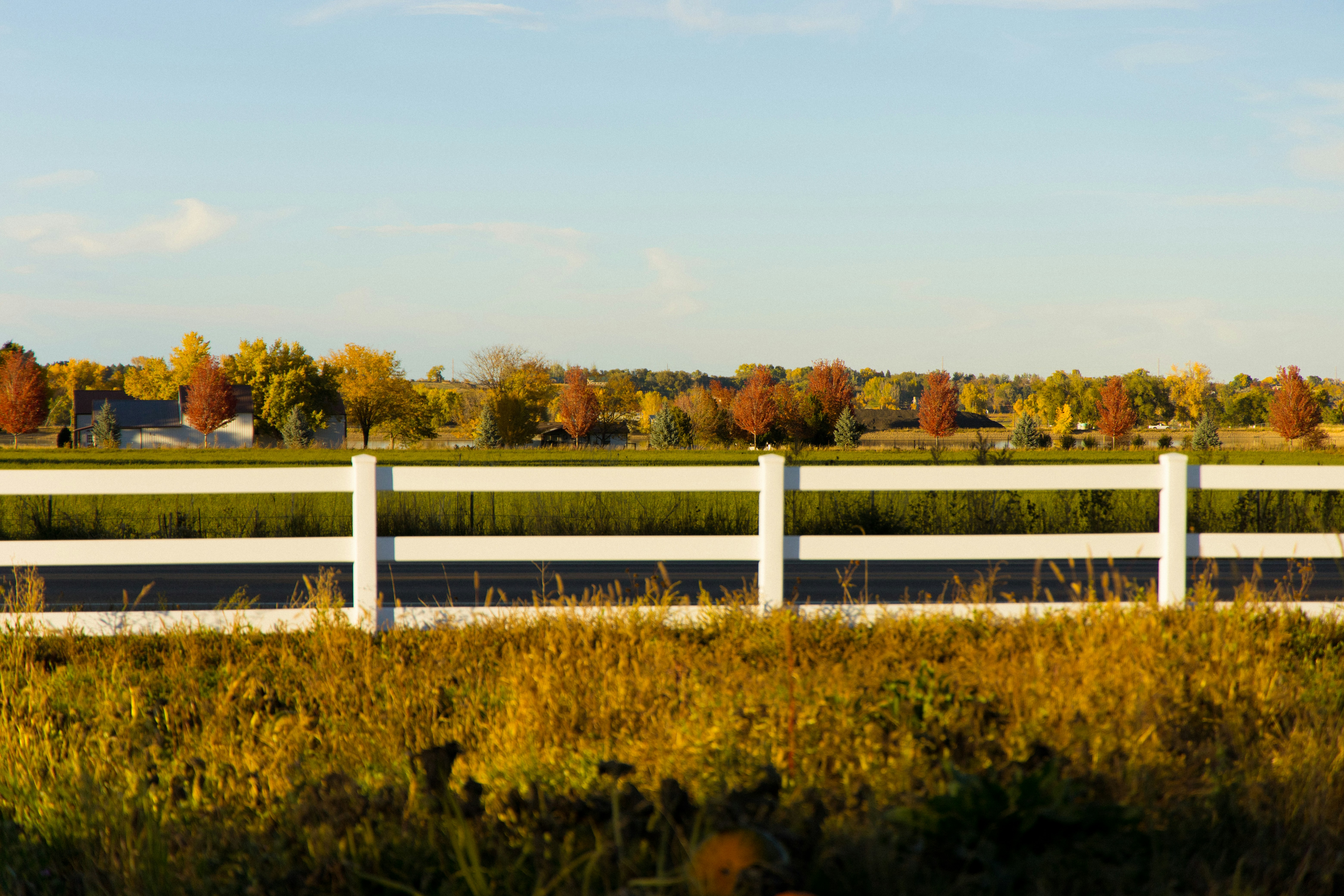 Autumn's Embrace: A Serene Countryside Scene