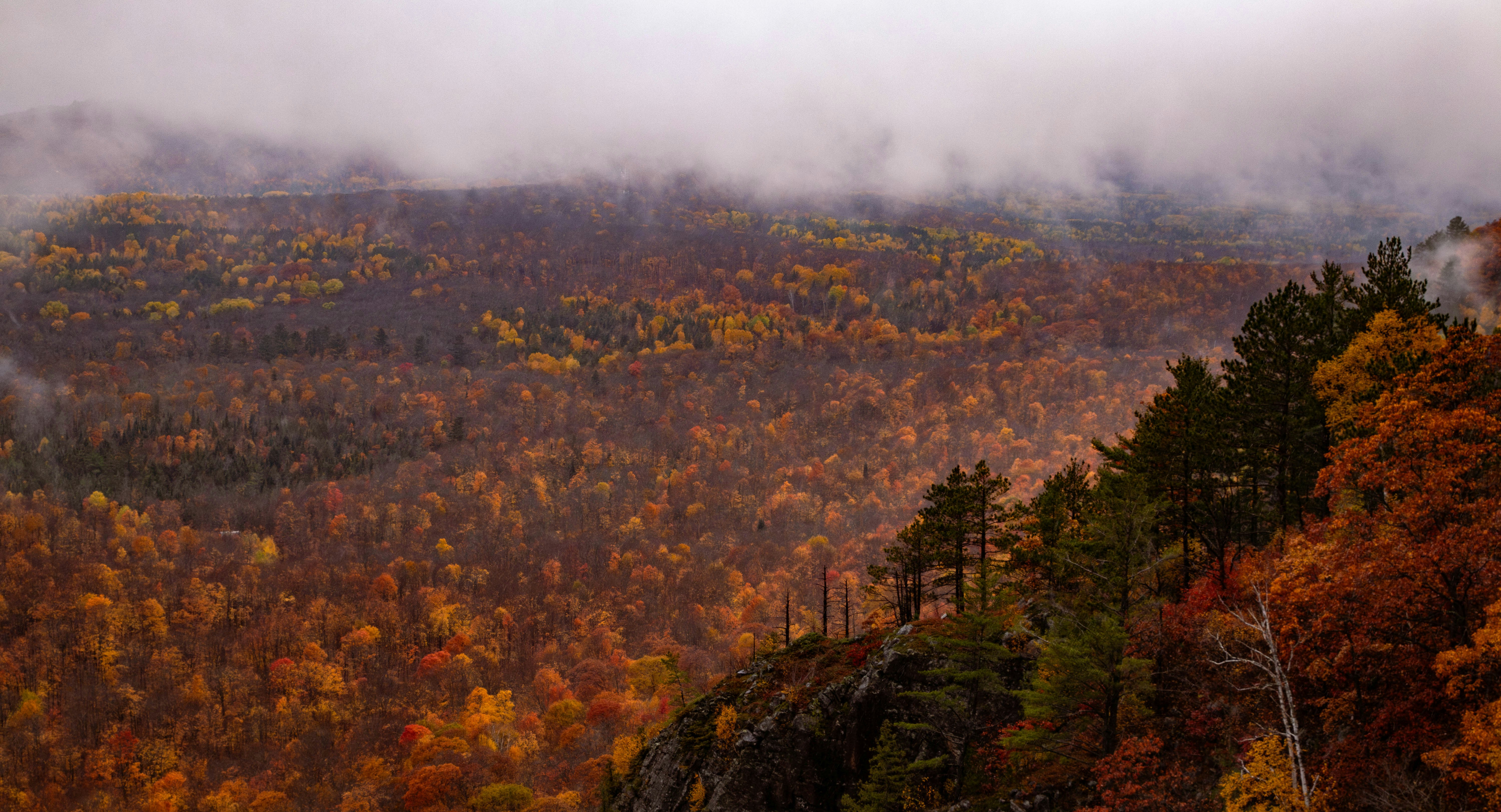 Vibrant autumn foliage blankets the landscape, with trees transitioning from green to fiery hues, shrouded in a gentle mist. The scene captures the essence of a tranquil fall day.