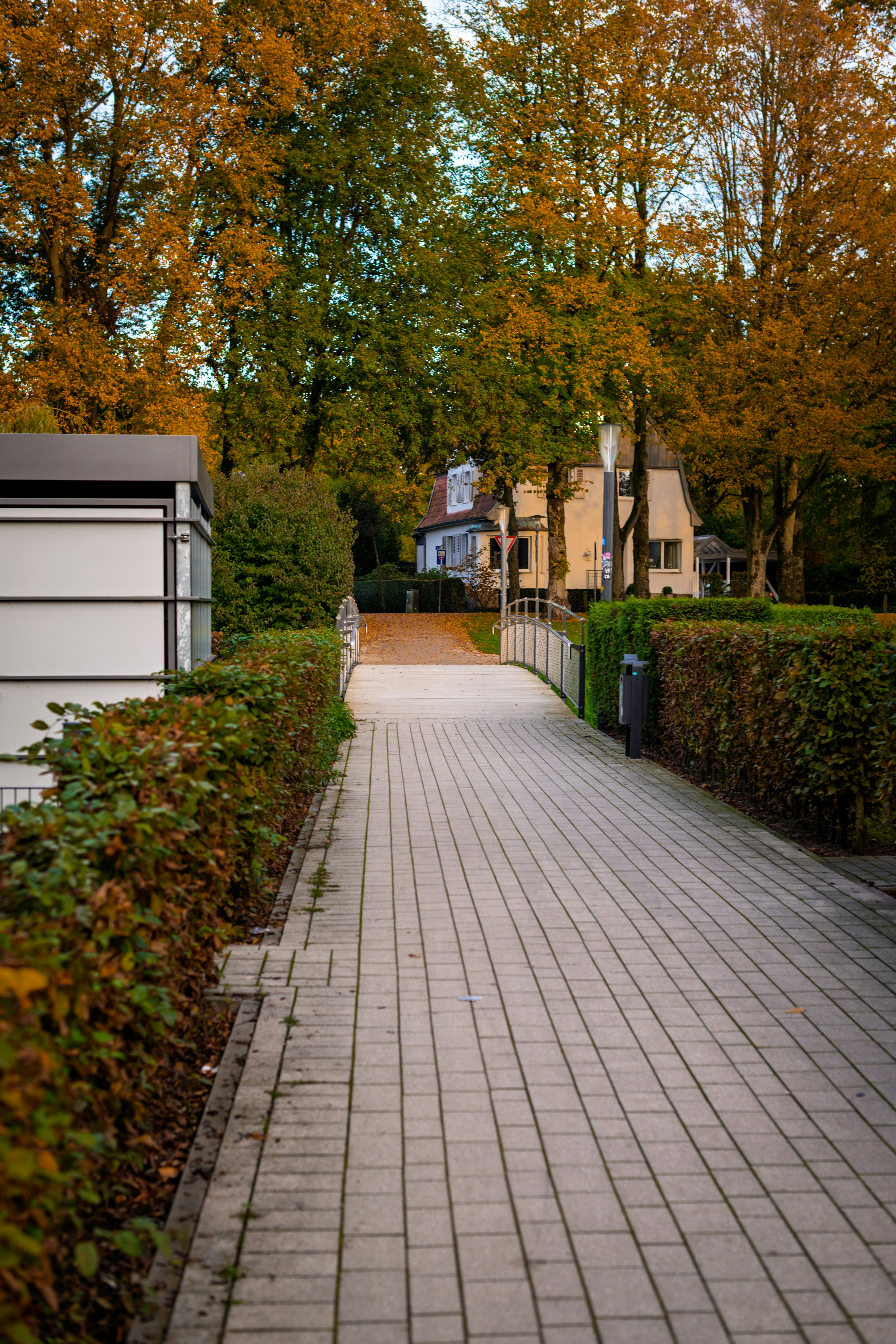 A paved walkway leads to houses surrounded by autumn trees.