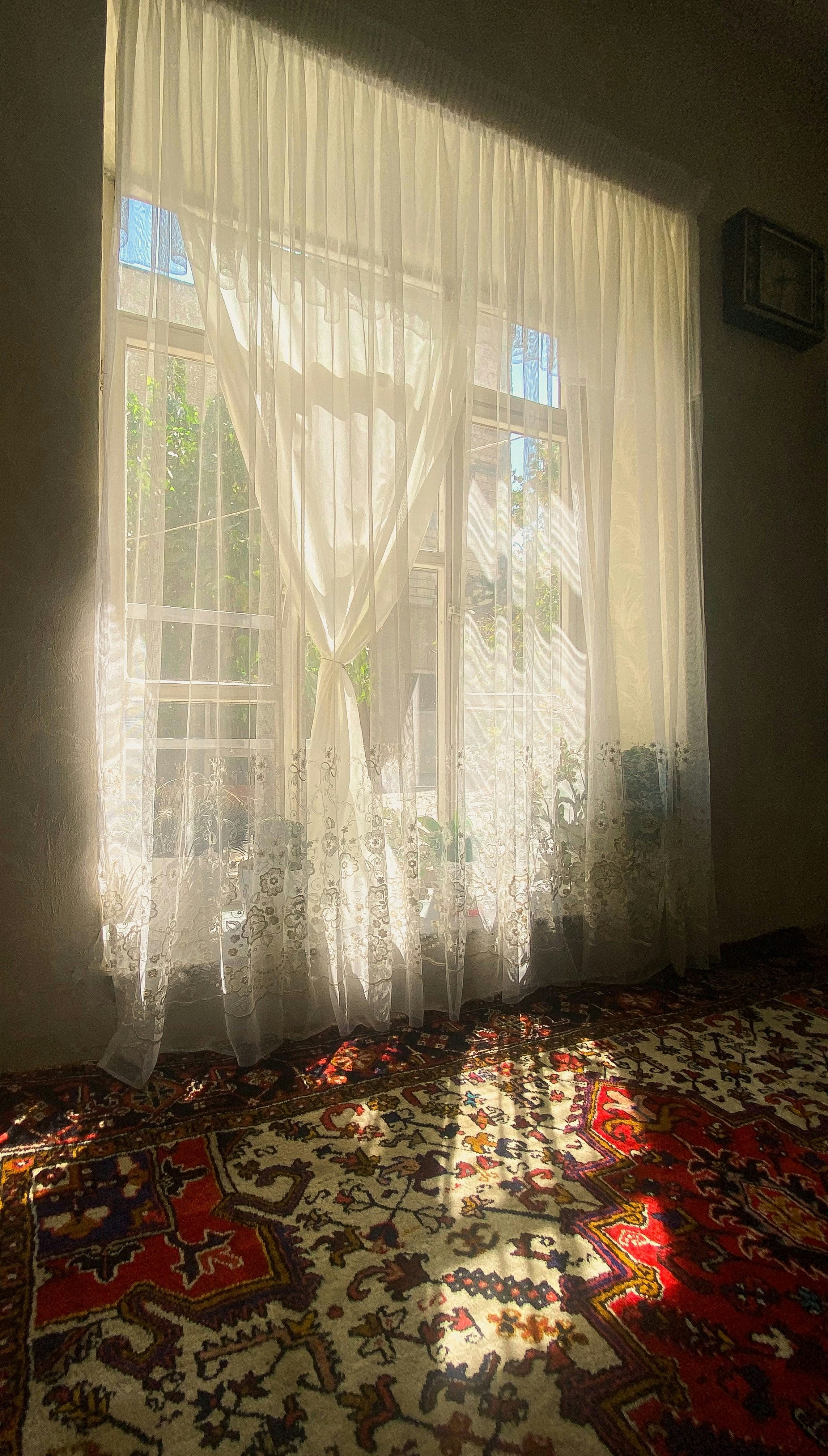 Whispers of Light Through Sheer Drapes