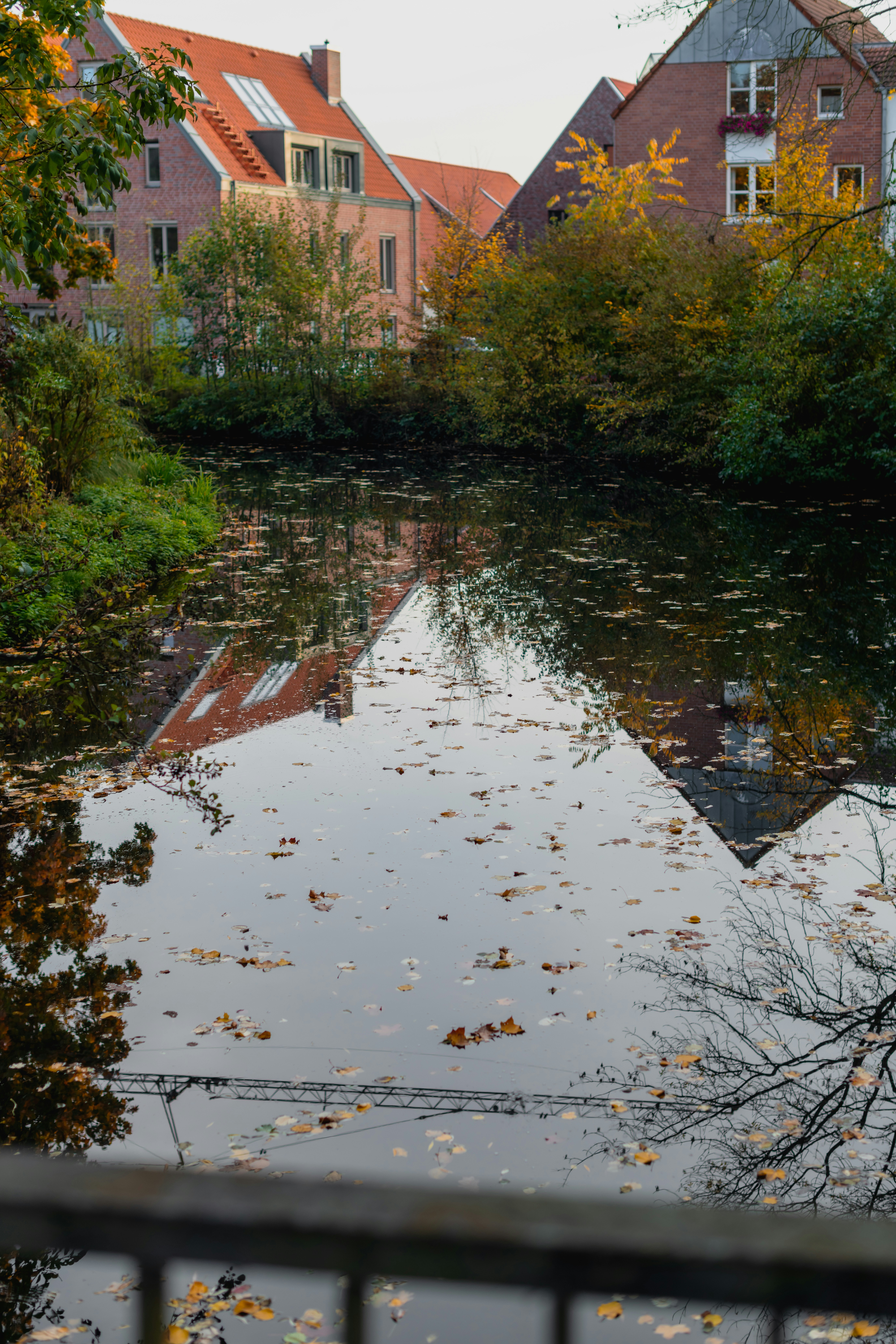 Reflections of Autumn: A Serene Waterscape