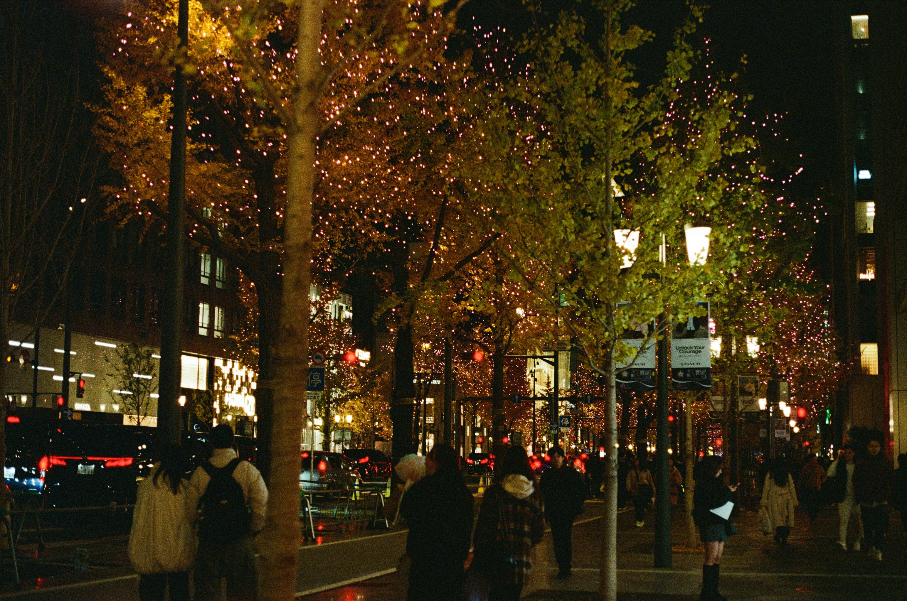 On 35mm film Ultramax 400 | People walking on a street decorated with lights at night