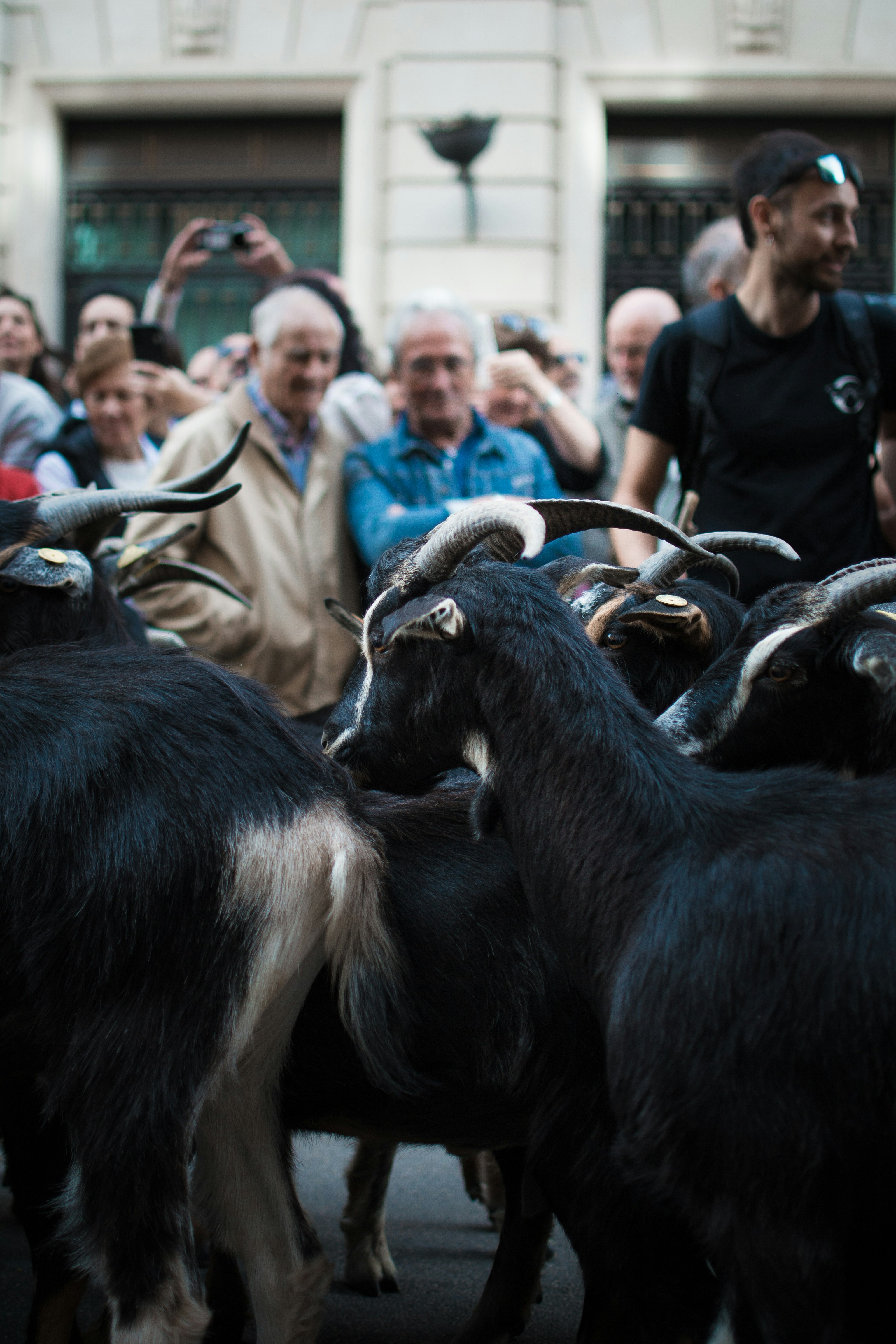 Photo by Gabriel Martin with Nikon D3100