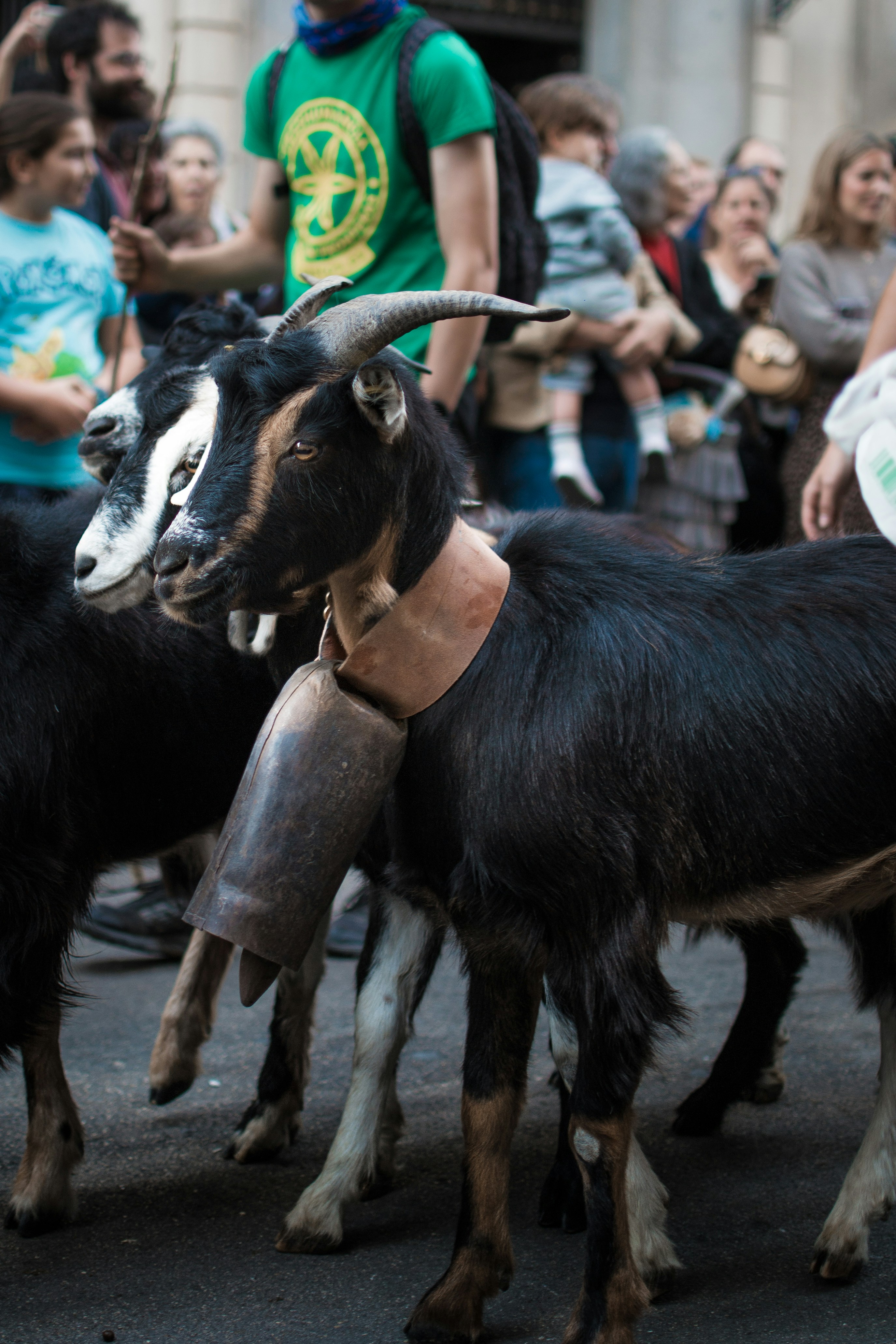 Photo by Gabriel Martin with Nikon D3100