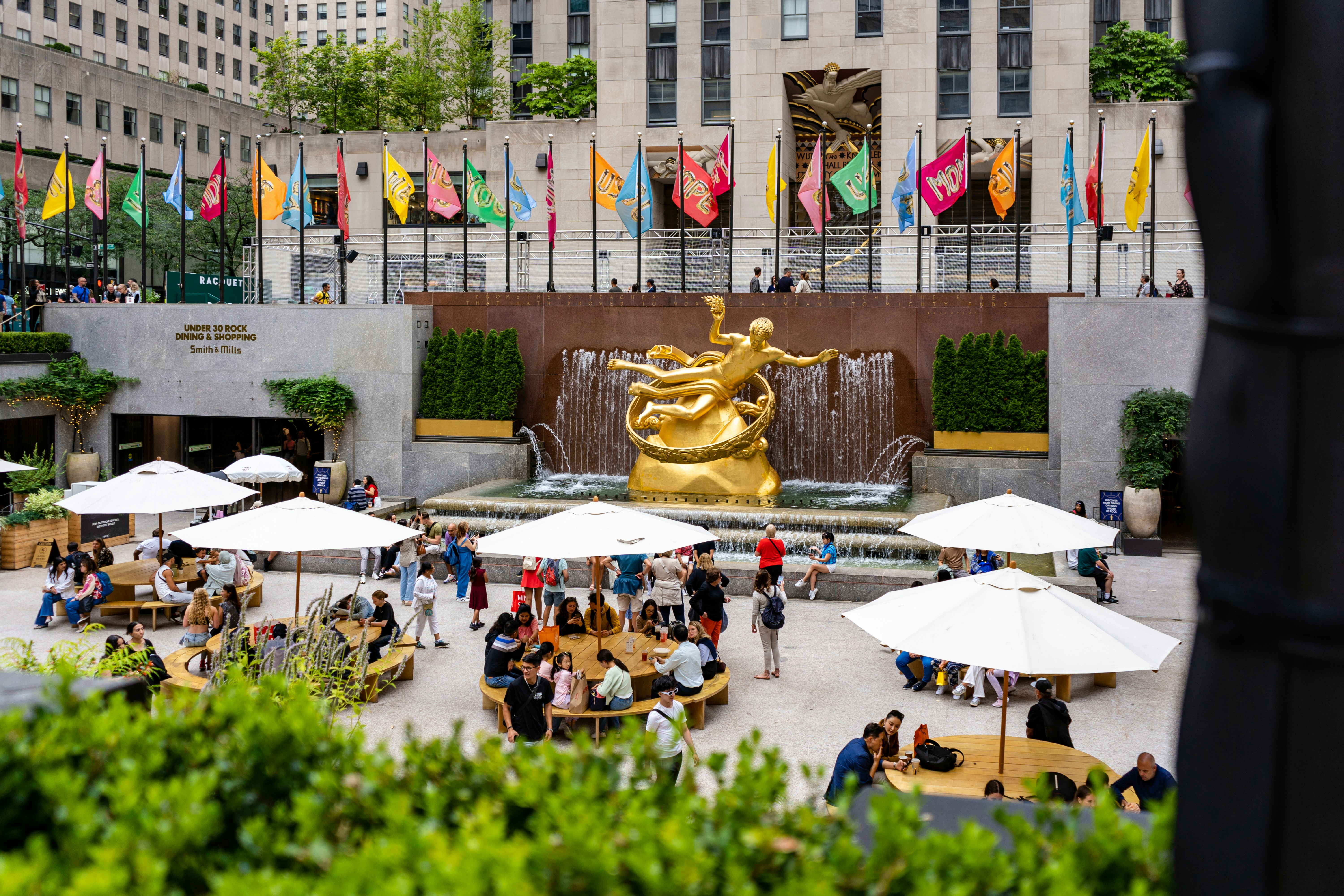 Harmony in Motion: The Golden Dance