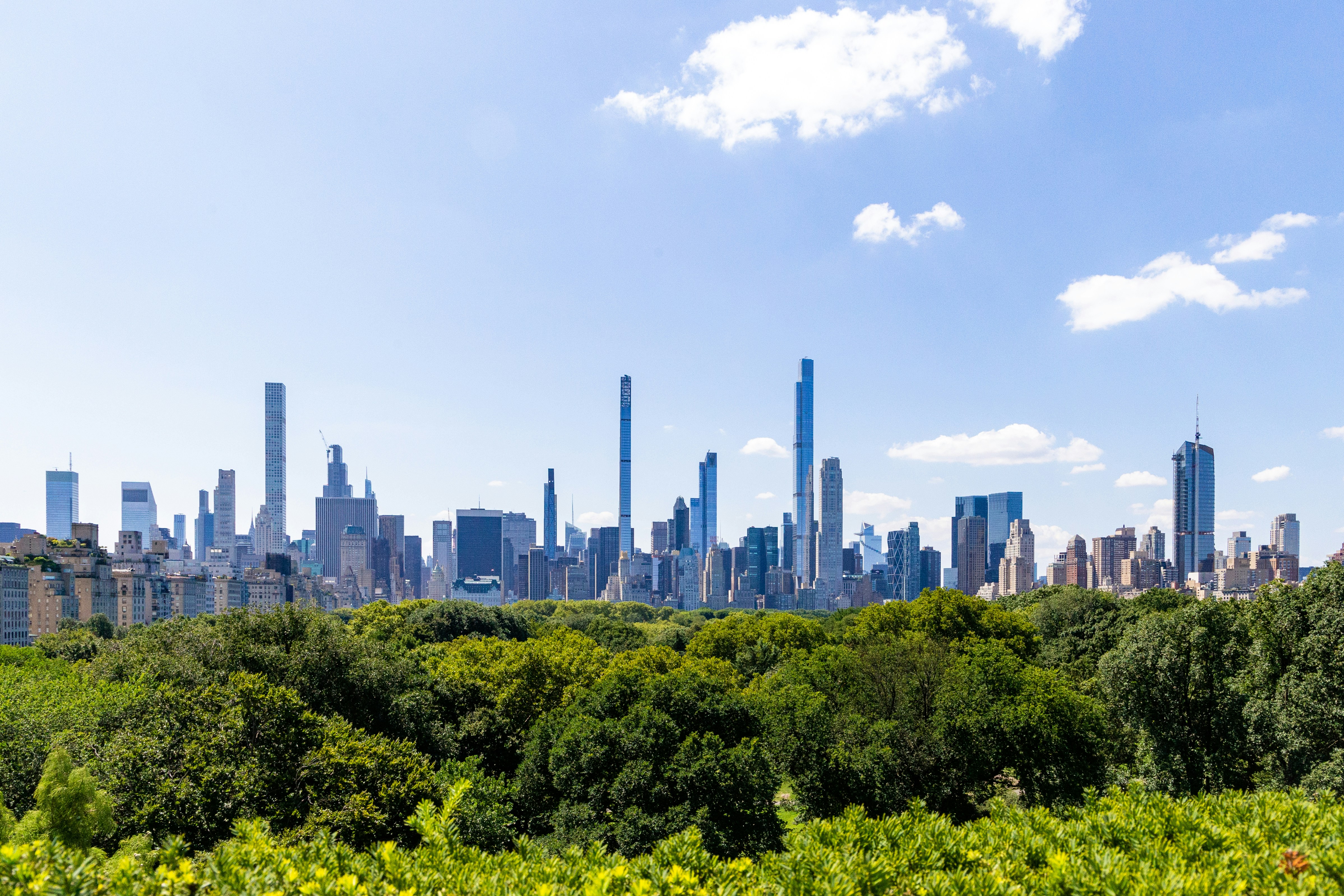 New york city skyline seen from a green park.