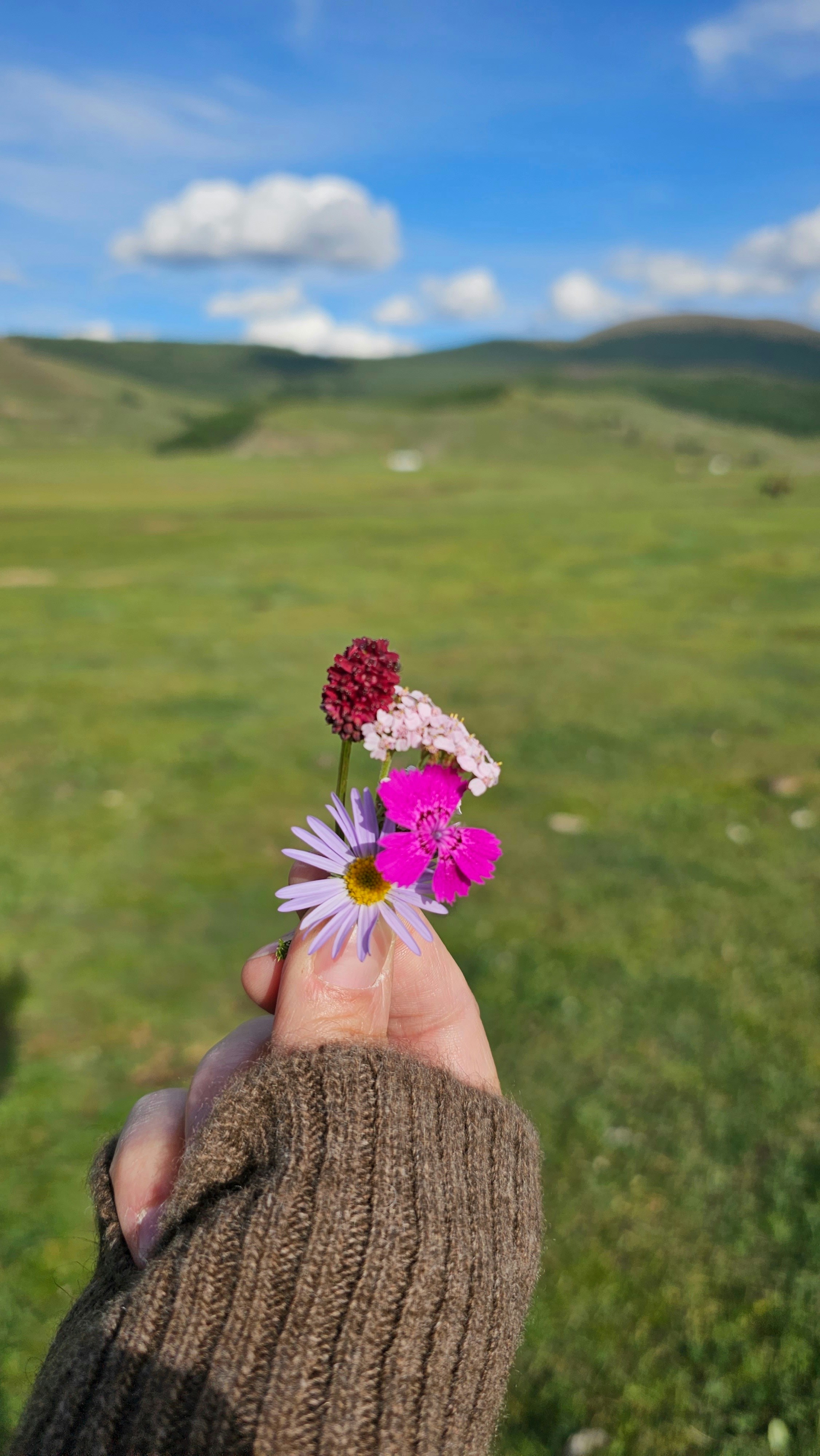A Handful of Nature's Palette