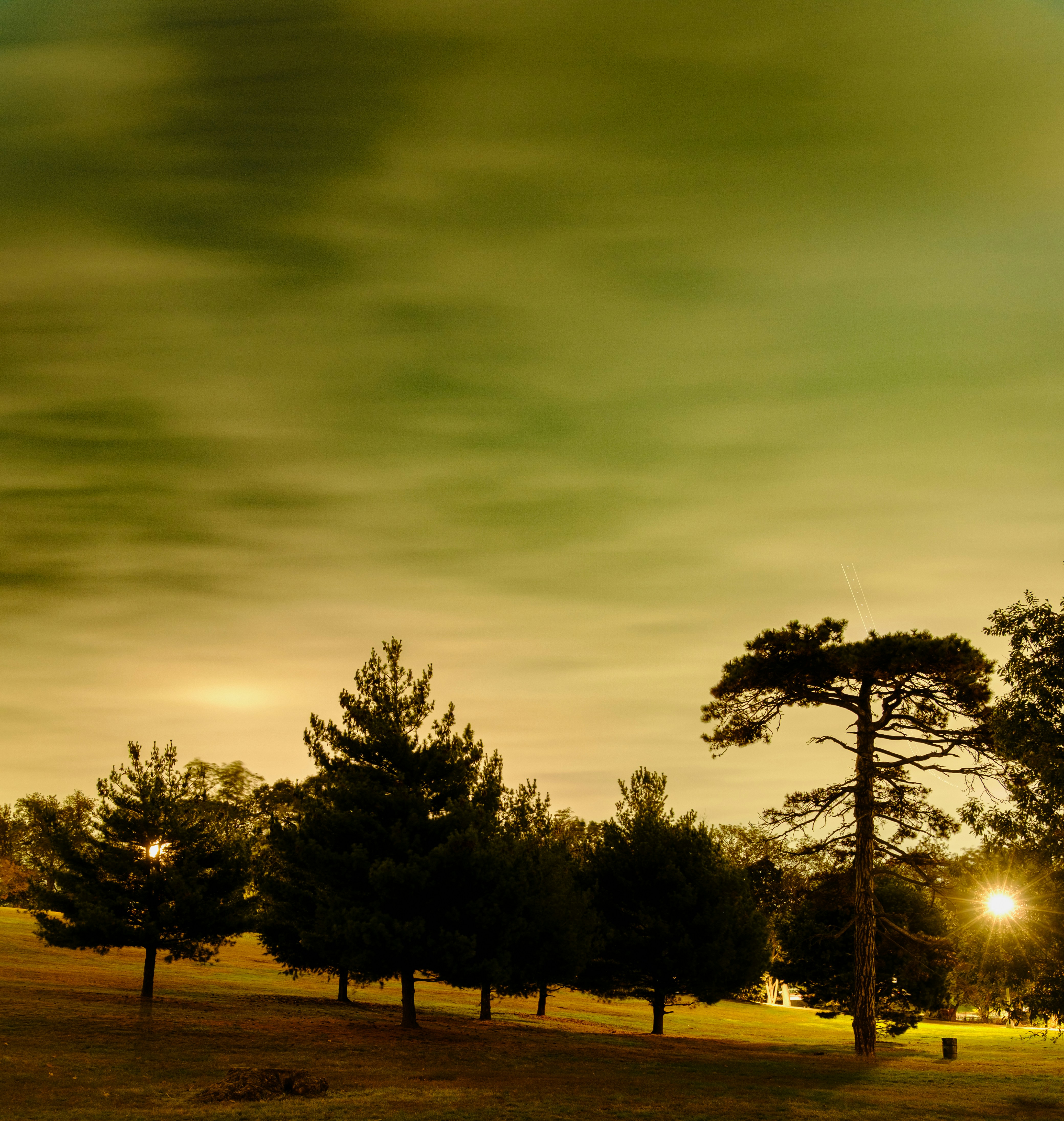 long exposure at night with cloudy white balance. | Trees silhouetted against a hazy, green sky at dusk.
