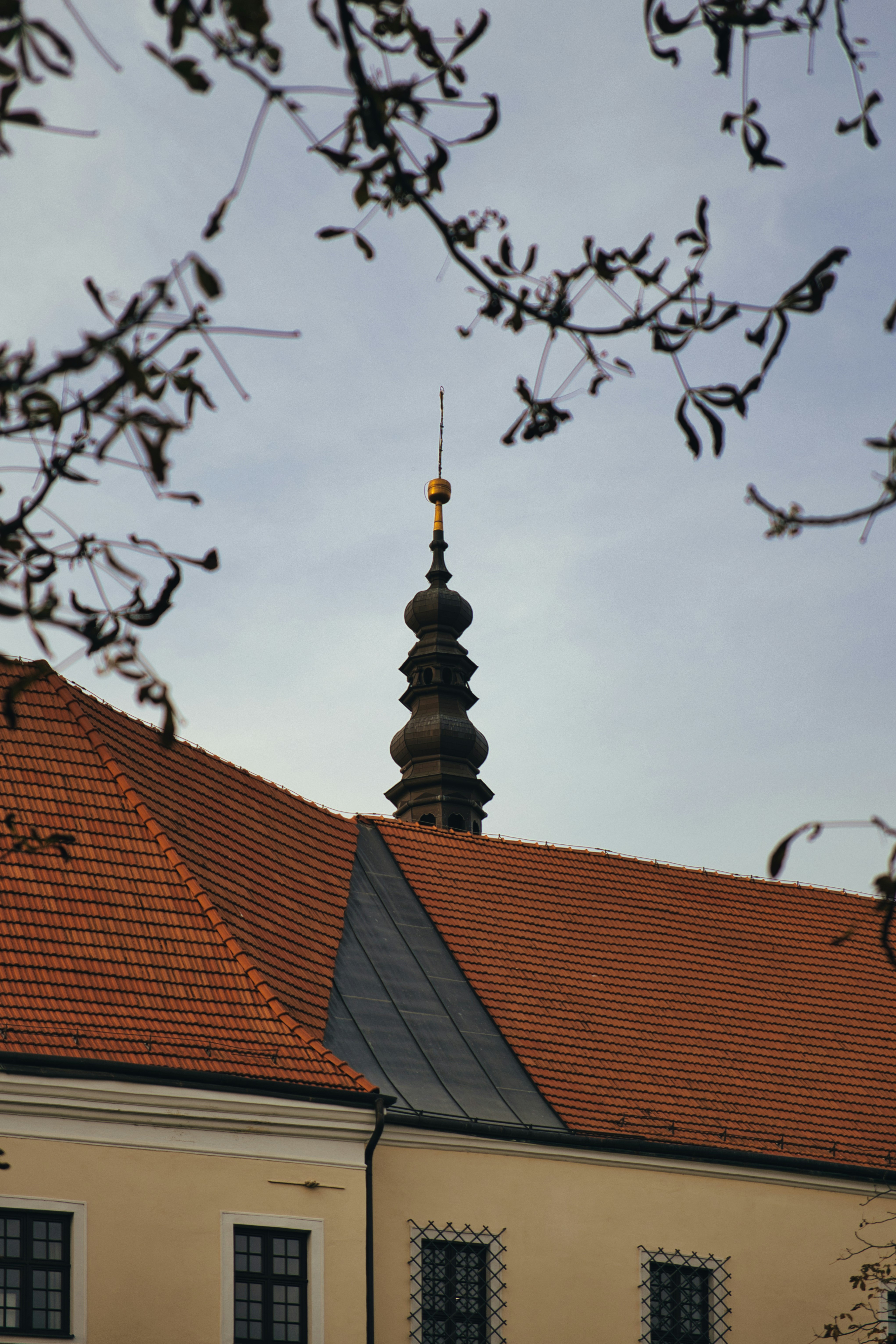 Historic building with a prominent tower and tiled roof.