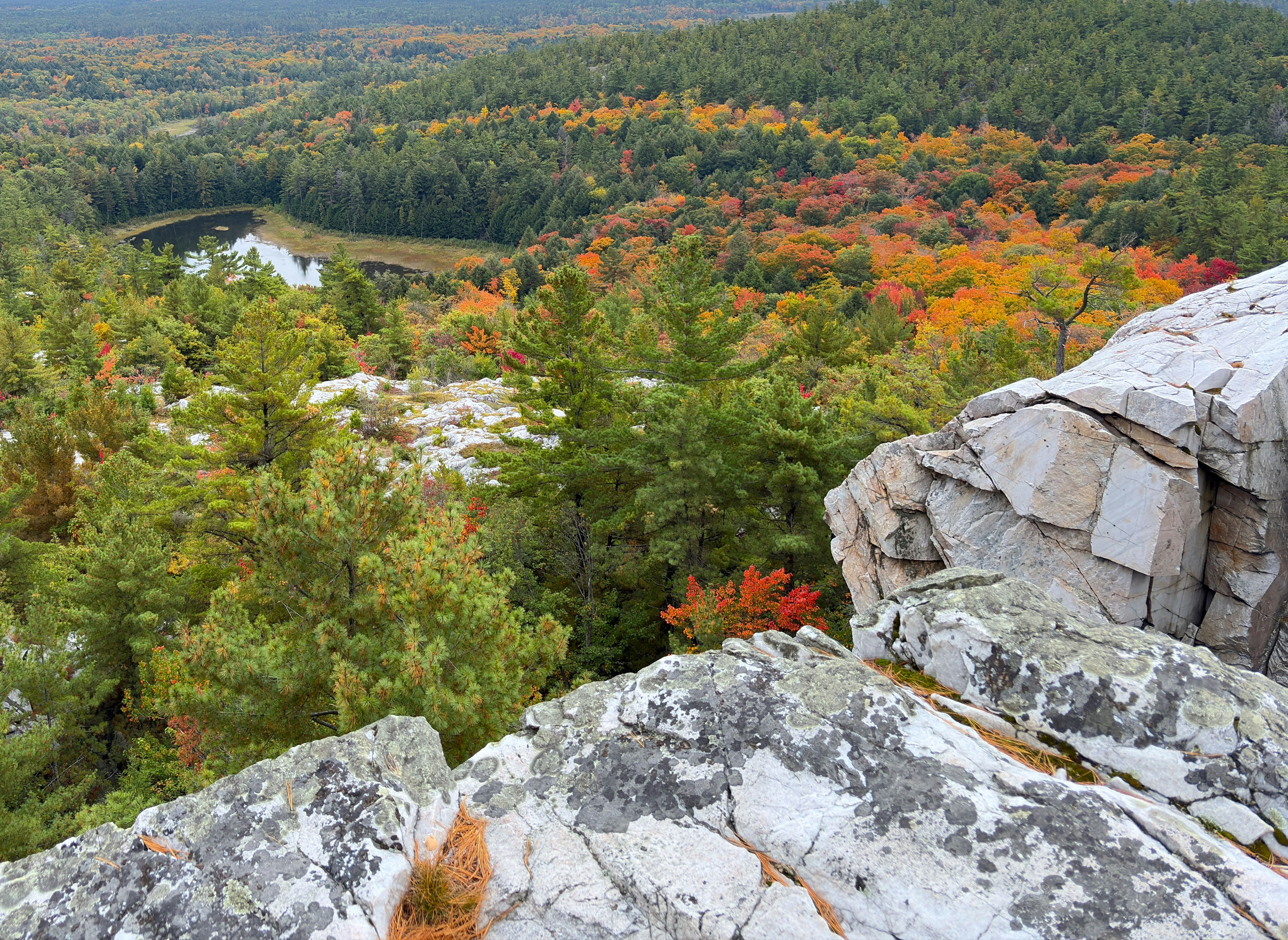 Vibrant autumn foliage blankets the landscape, with a serene river winding through the colorful trees. Rocky outcrop in the foreground enhances the scenic depth.