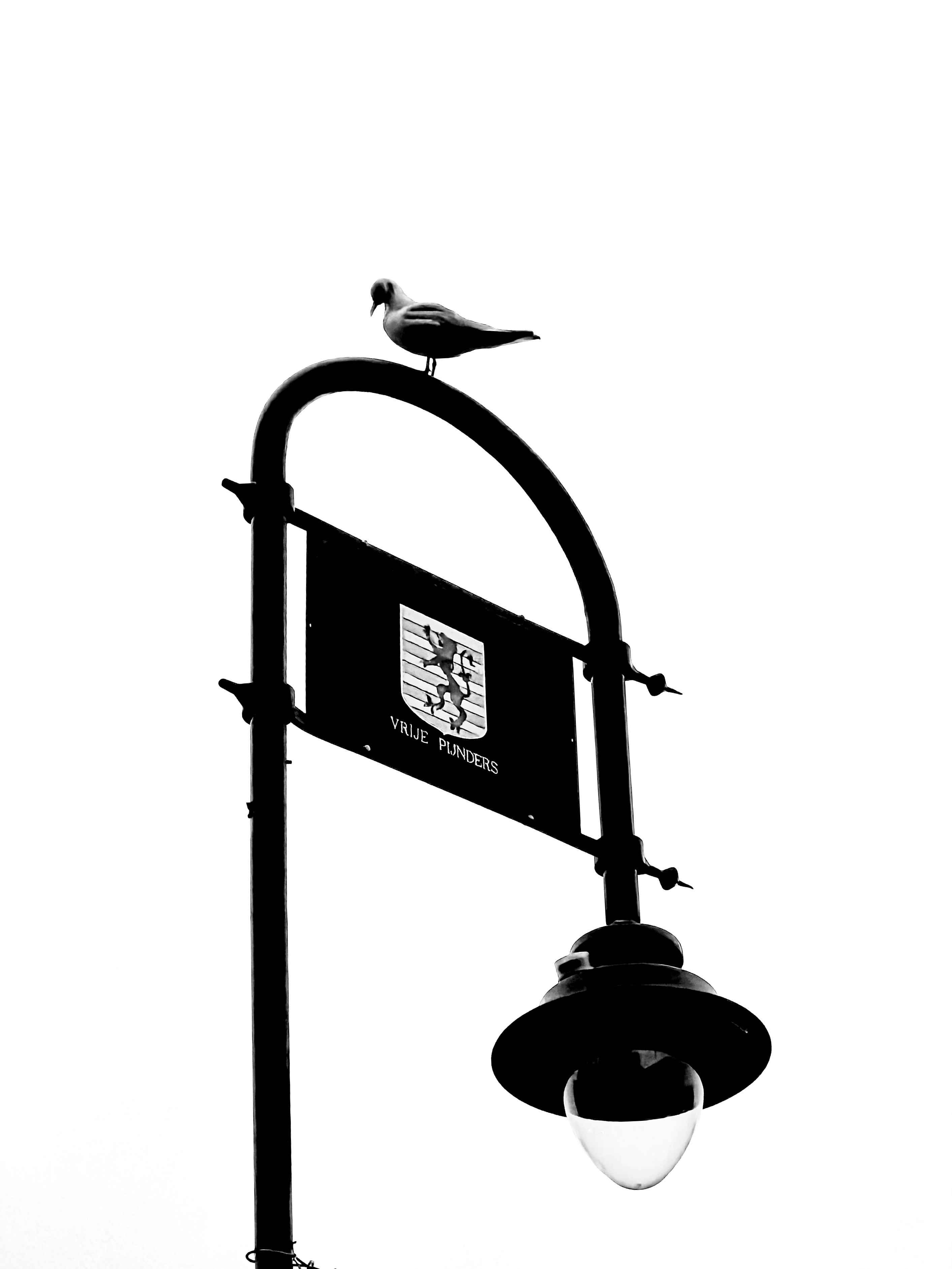 Graslei 8, 9000 Gent, 벨기에