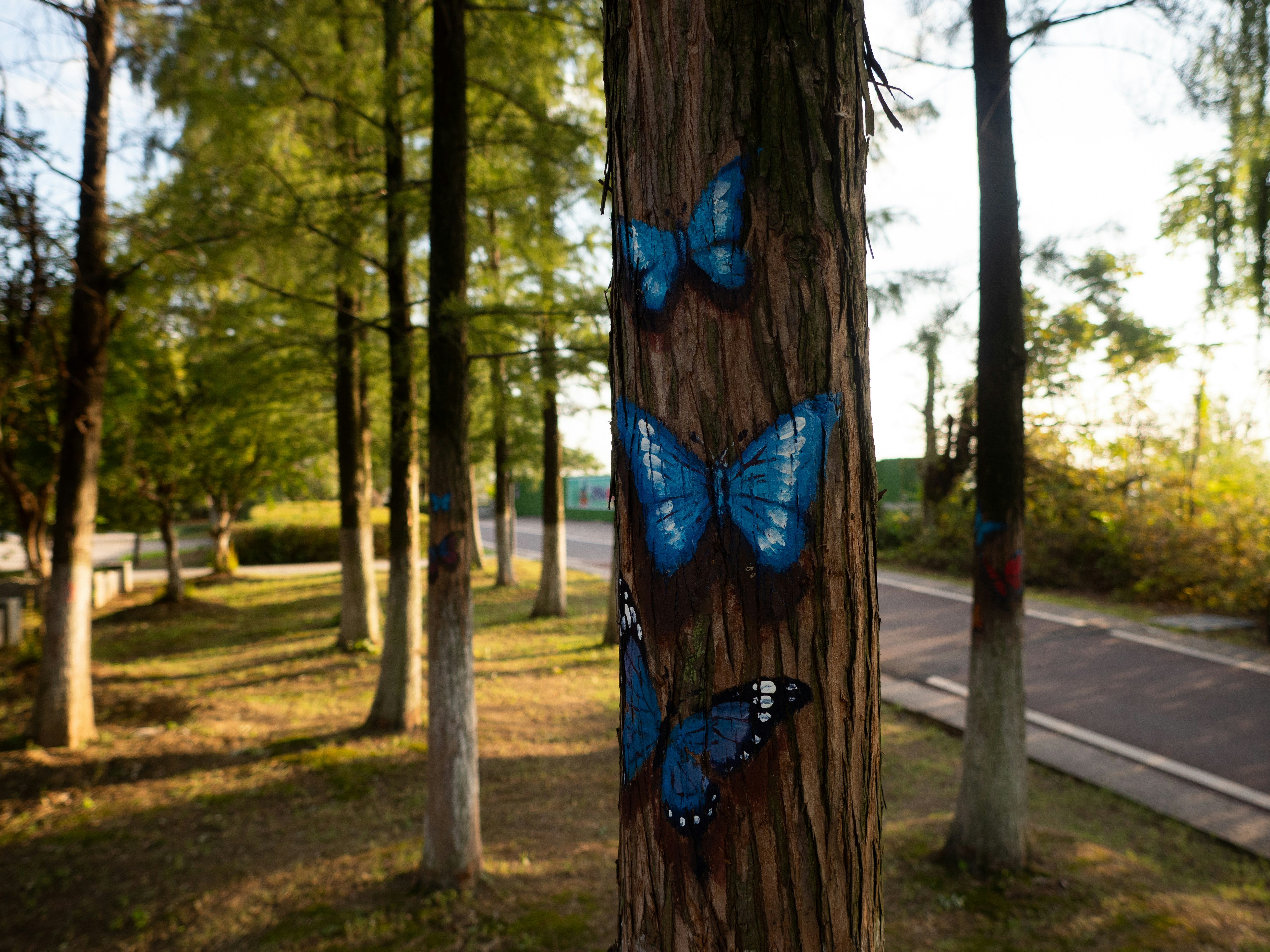 Blue butterflies painted on a sunlit park tree trunk, with a roadside and green trees in the background.