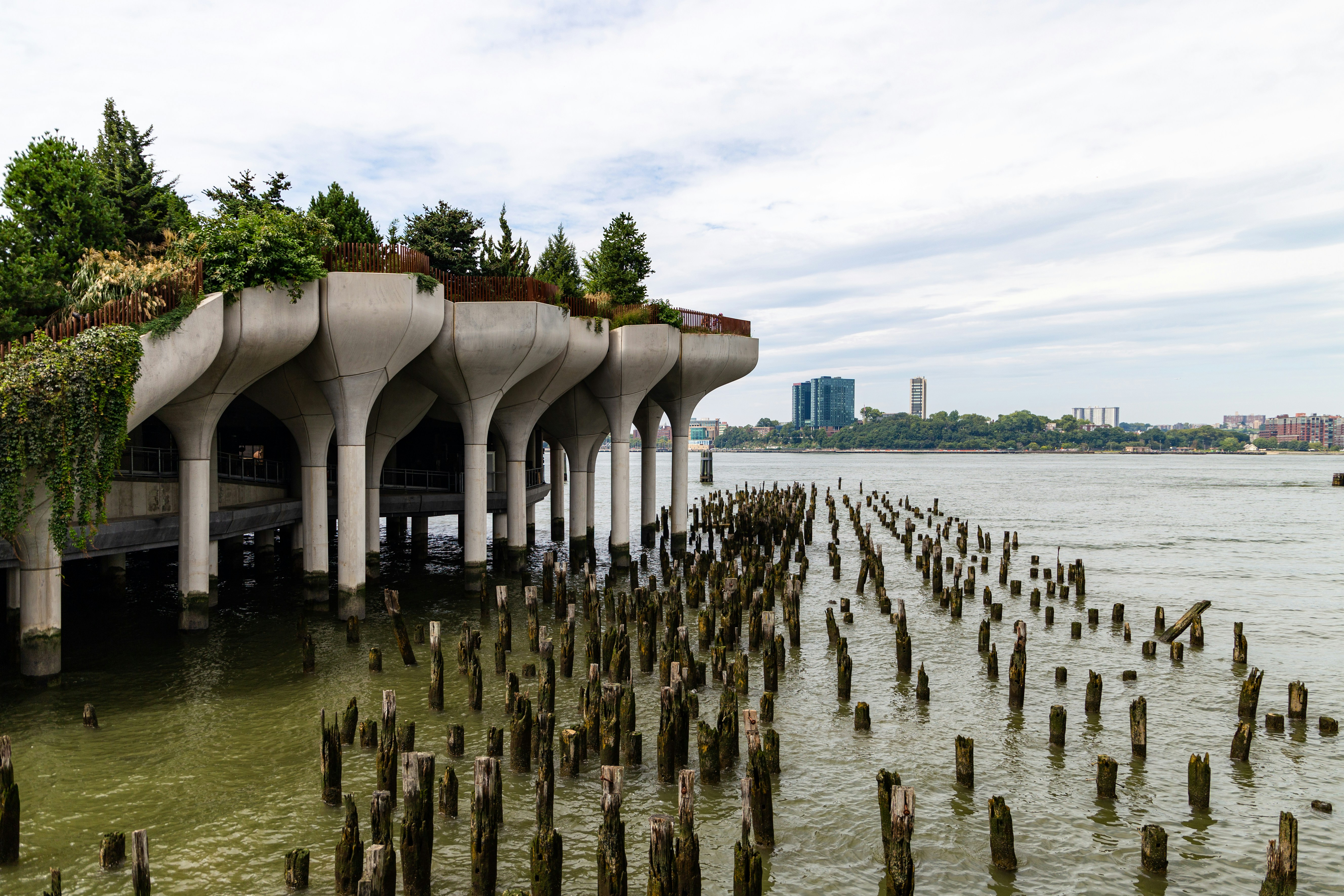 Arched Pier Columns Reaching Toward a Quiet City Horizon