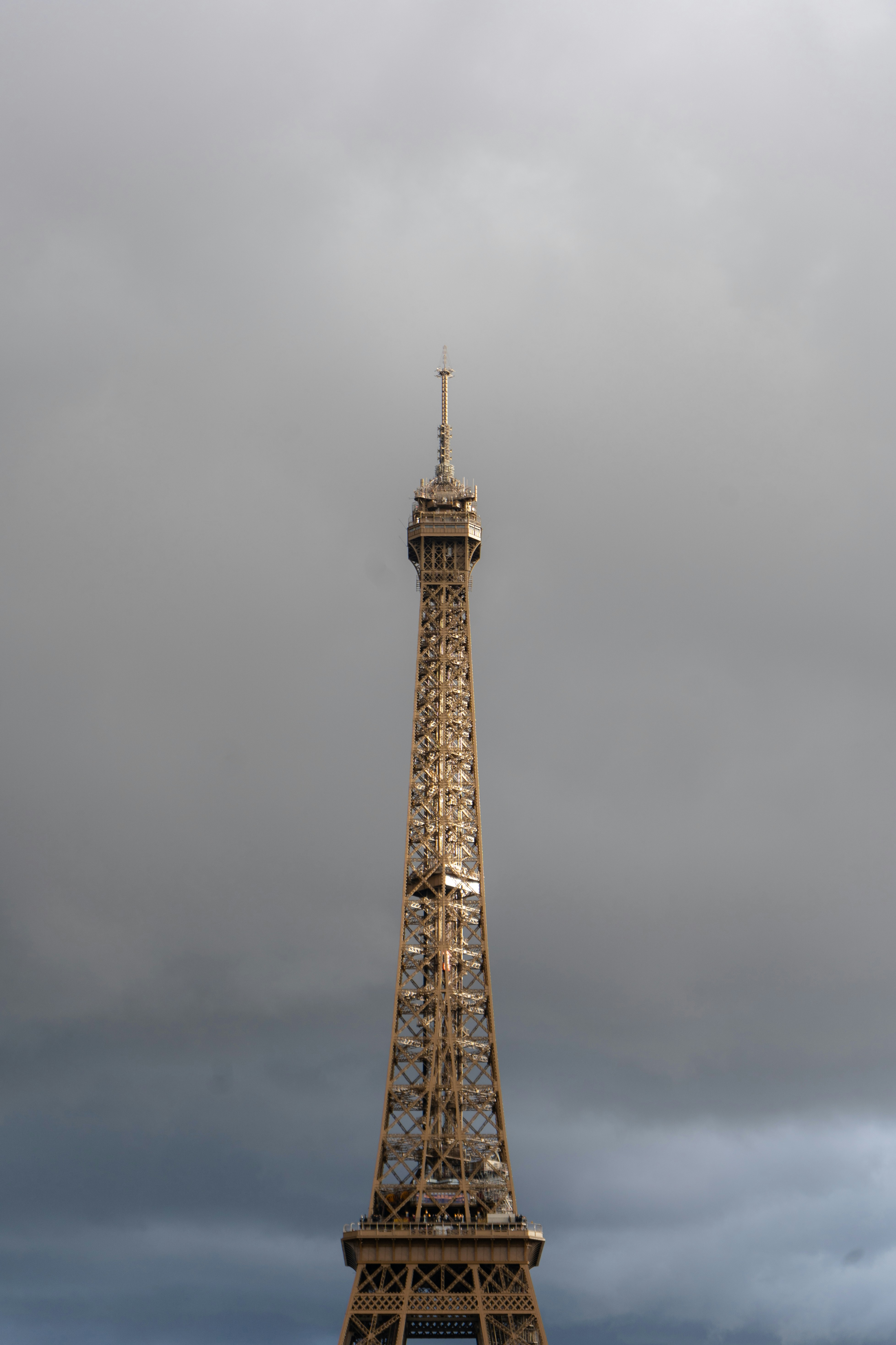 Photo by Maxim Klimashin with Sony Alpha 7 III