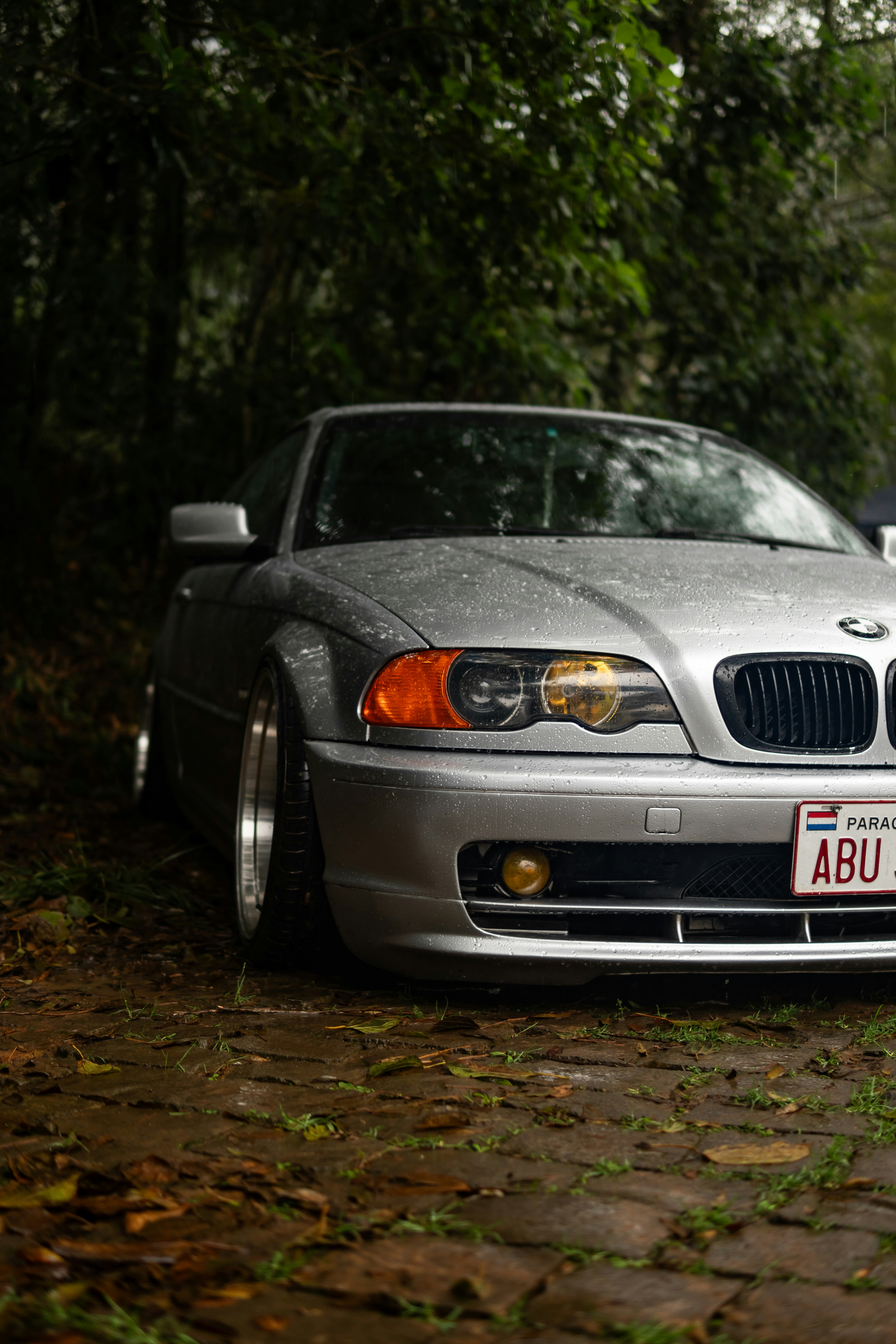 Shadowed forest curbside: a silver BMW E46 on a moss-lined brick driveway
