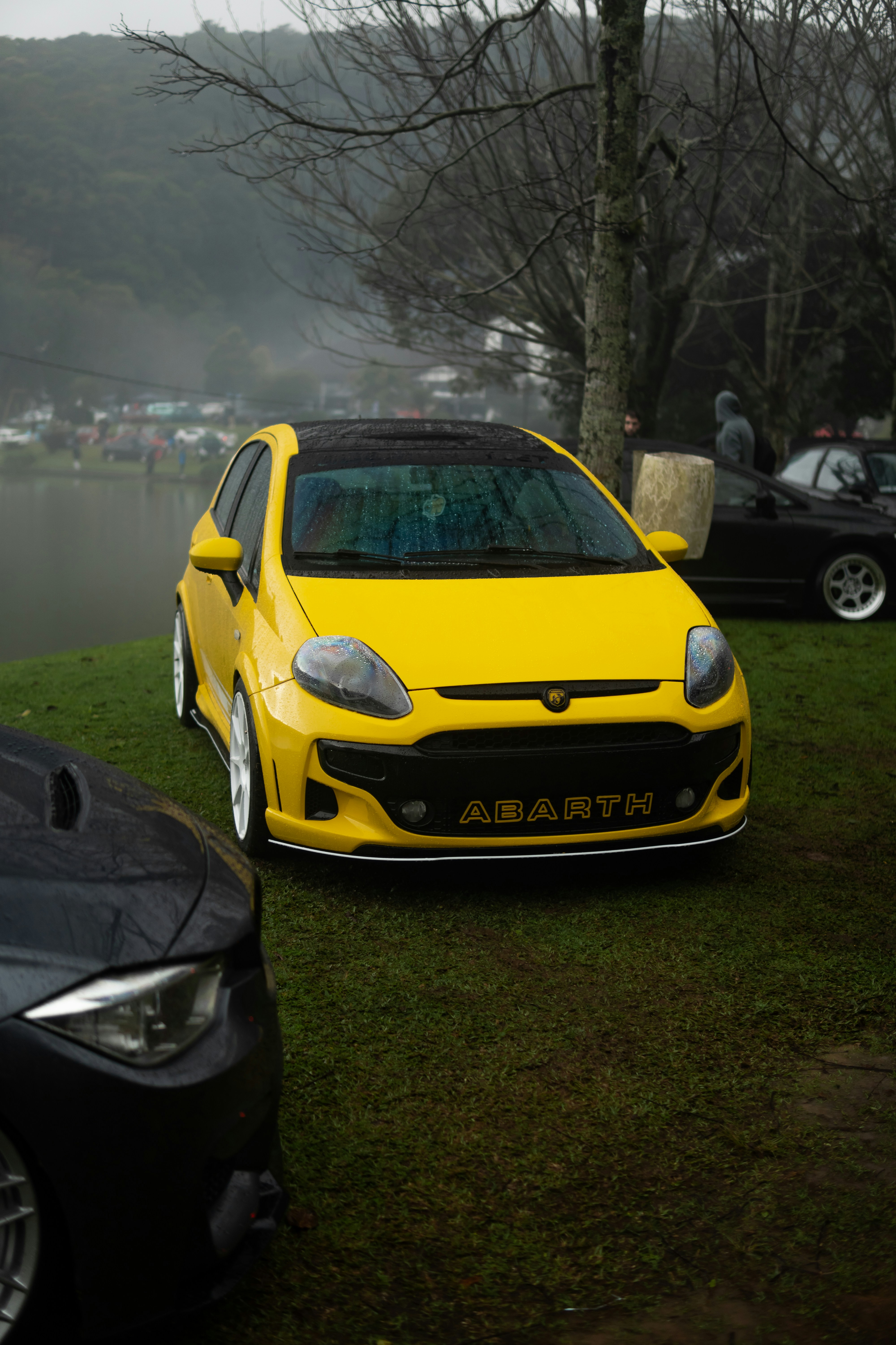 Punchy Yellow Abarth Anchors a Rainy Lakeside Car Meet