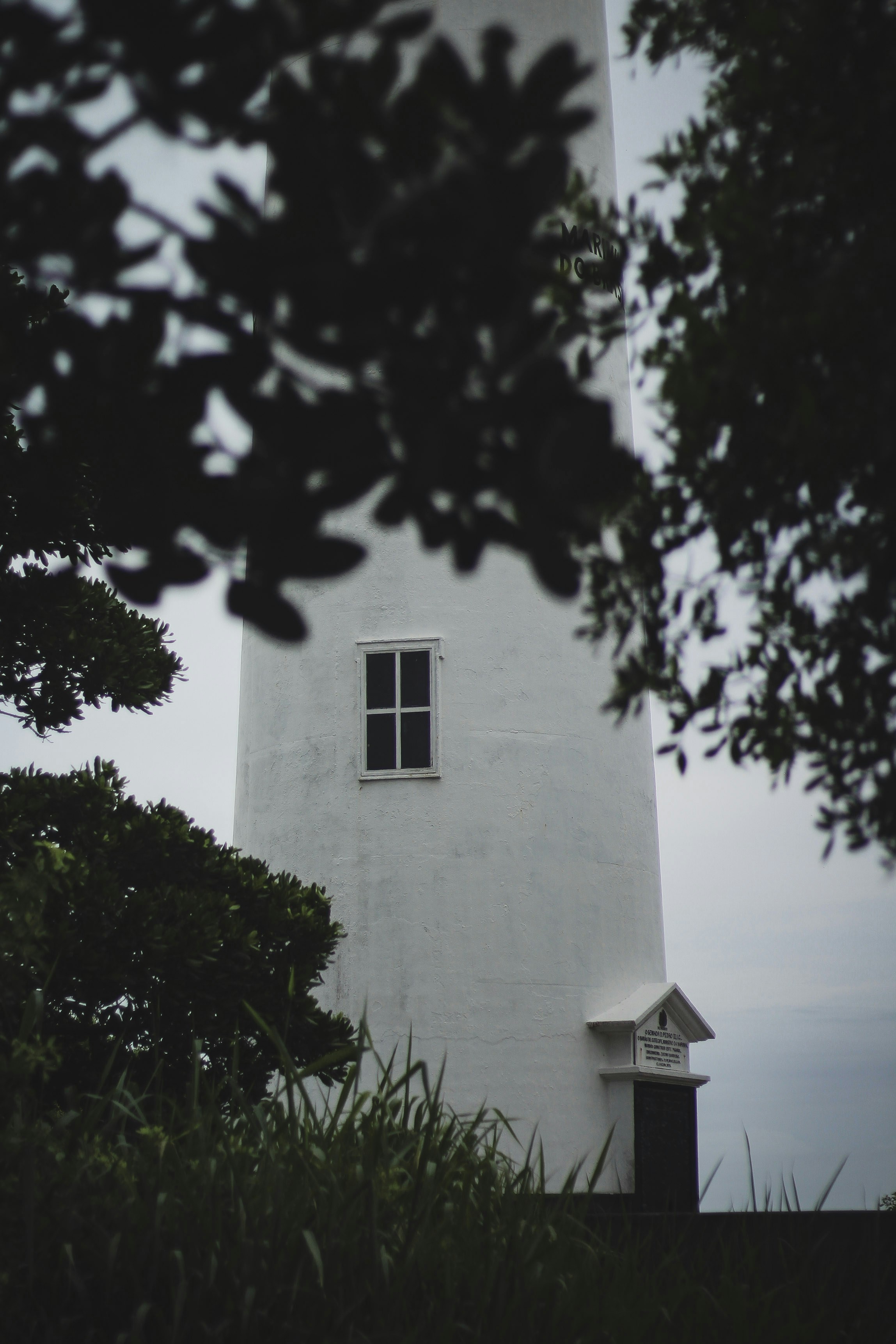 A weathered lighthouse stands amidst lush greenery, partially obscured by foliage, evoking a sense of history and tranquility.