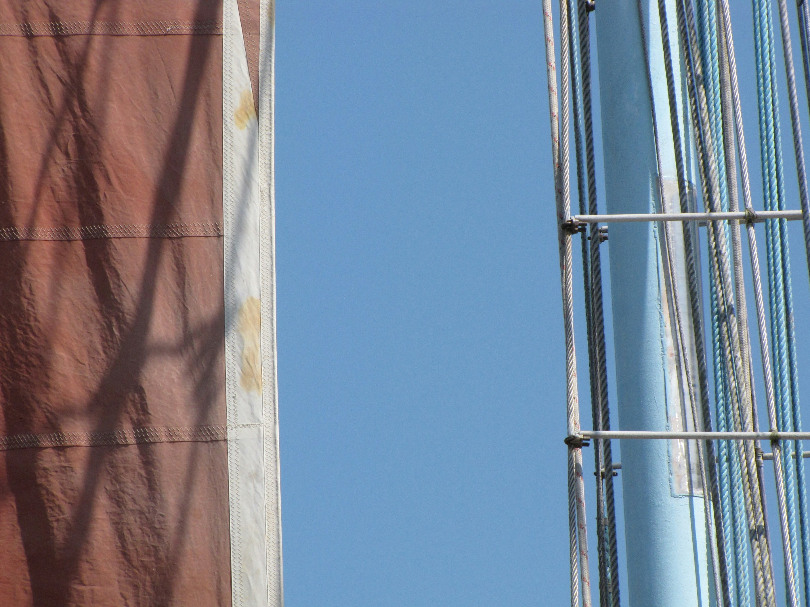 Contrasting Textures Against the Sky