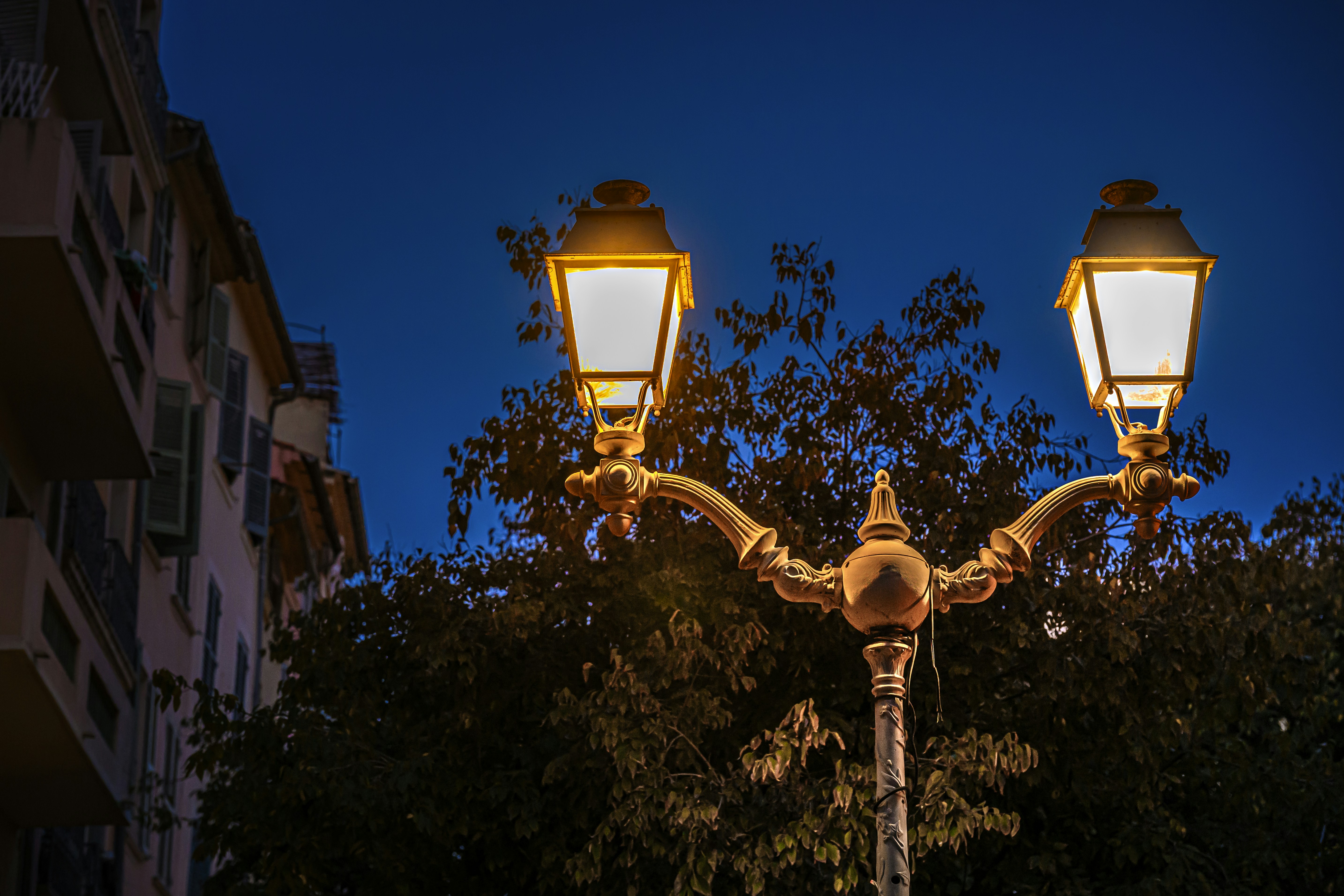 Illuminated Elegance: A Street Lamp's Charm at Dusk