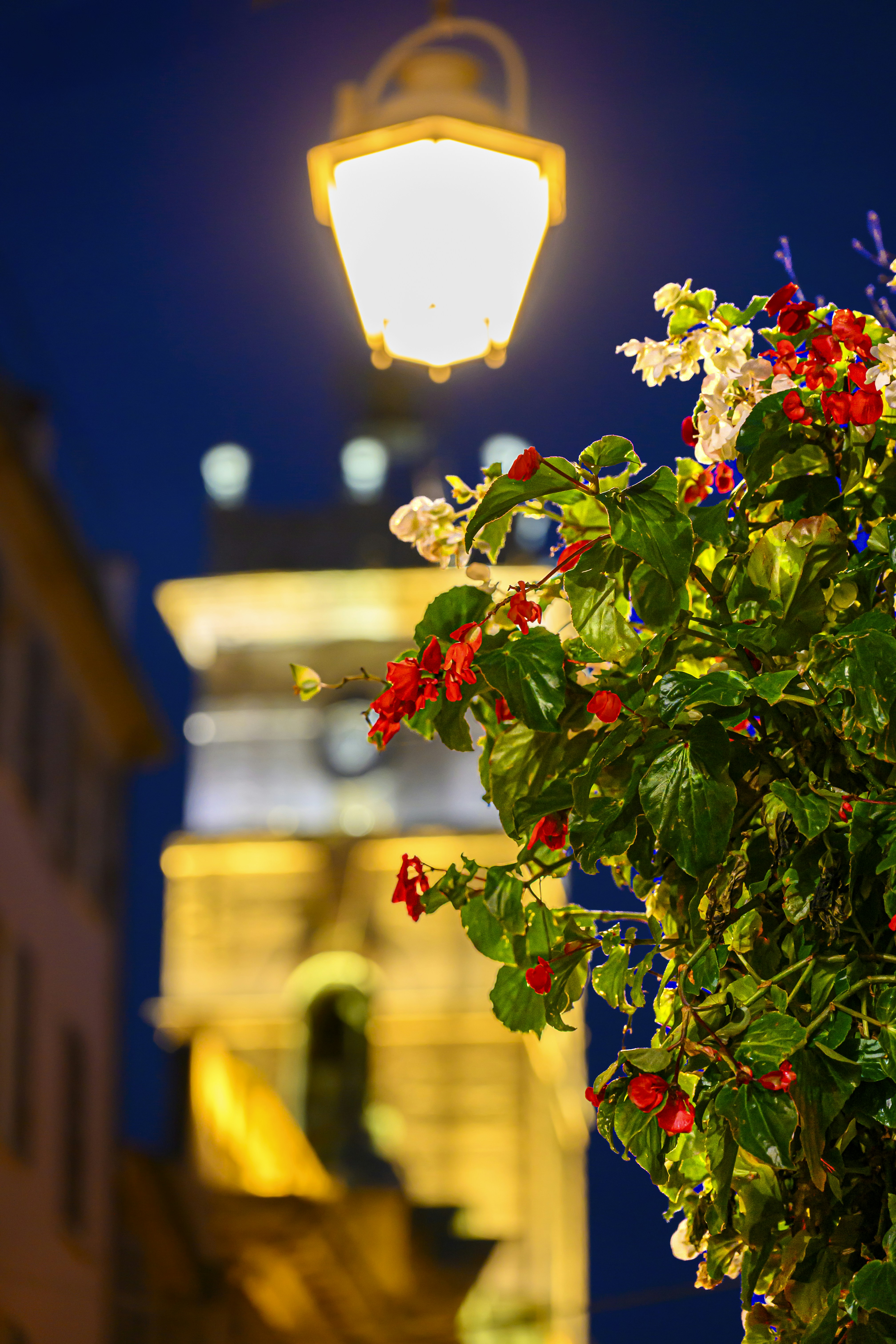 Flowers and street lamp at night with tower.