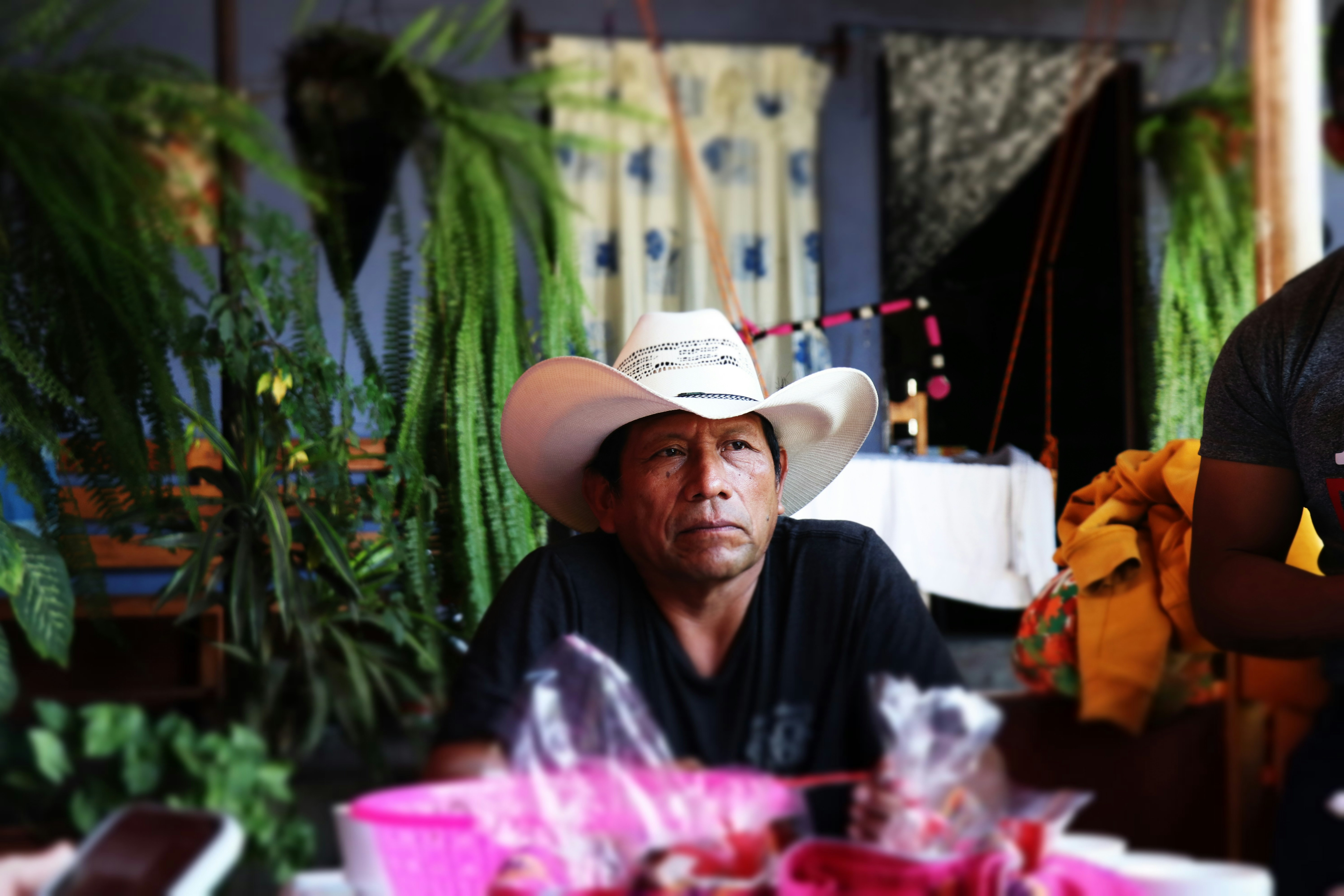 Man in a cowboy hat sits with plants.