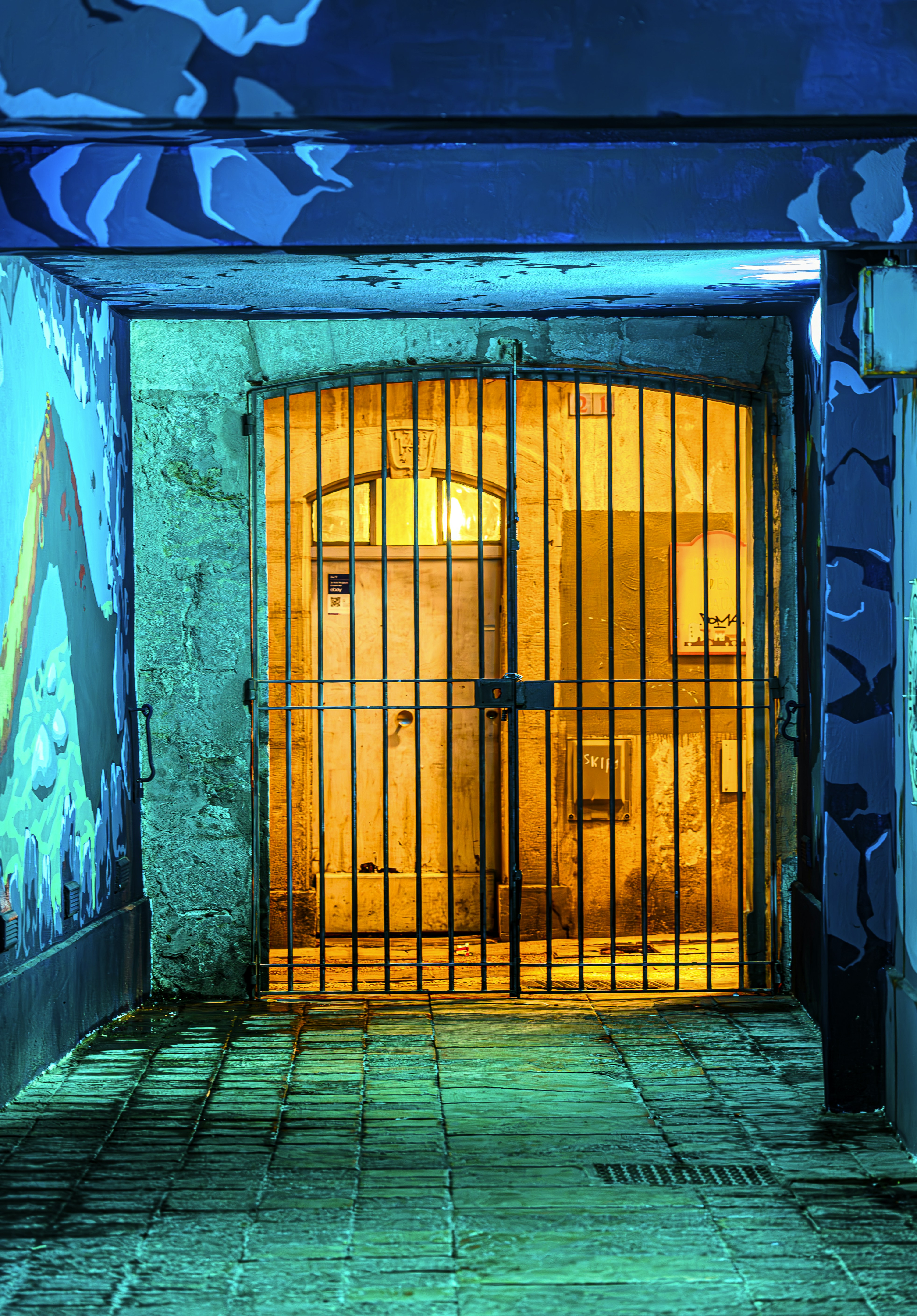 Gateway to the Unknown: A Passageway of Mystery
