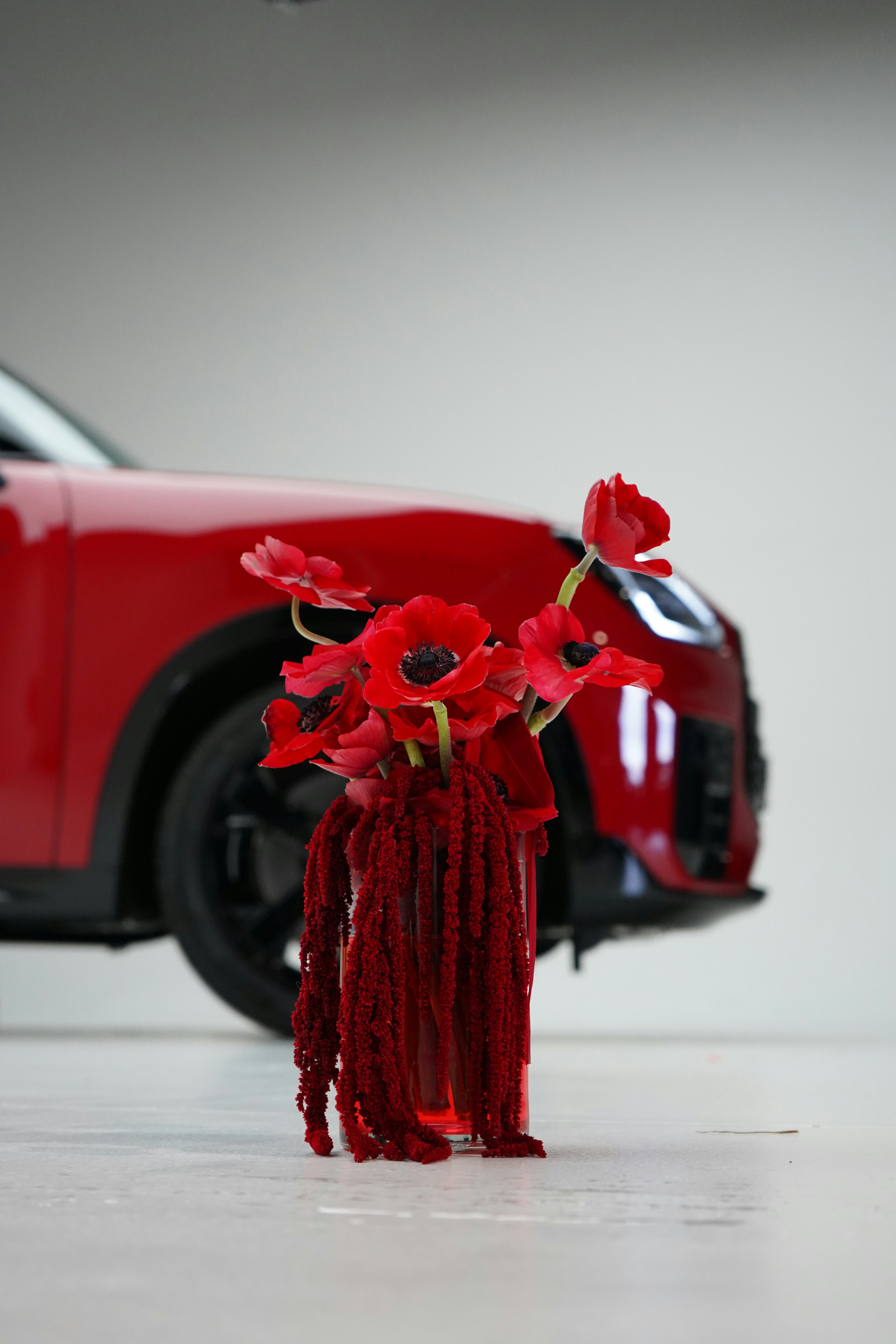 Floral Elegance Against a Bold Backdrop