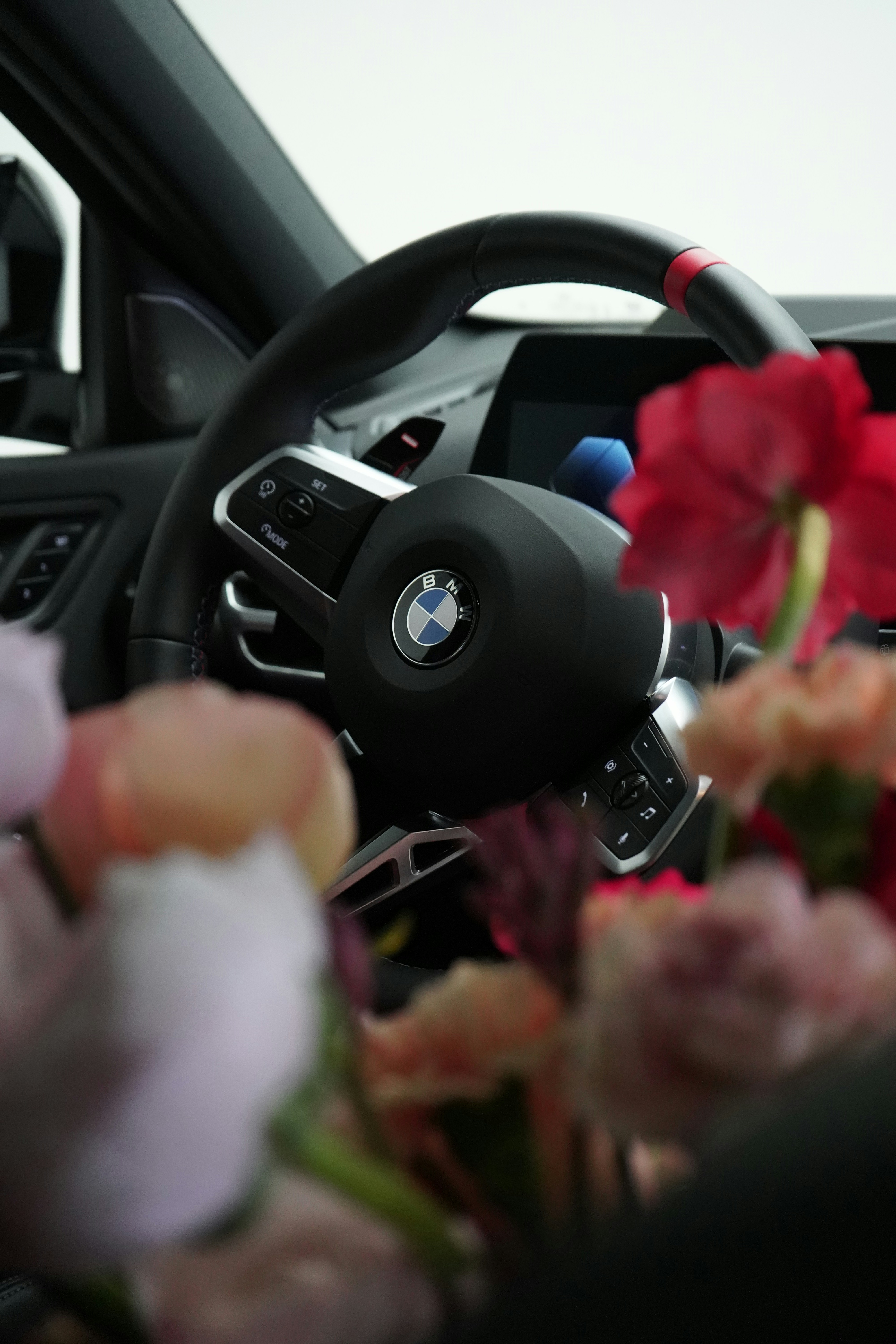 Petals in the Driver’s Frame: a BMW Cockpit Framed by Blooms