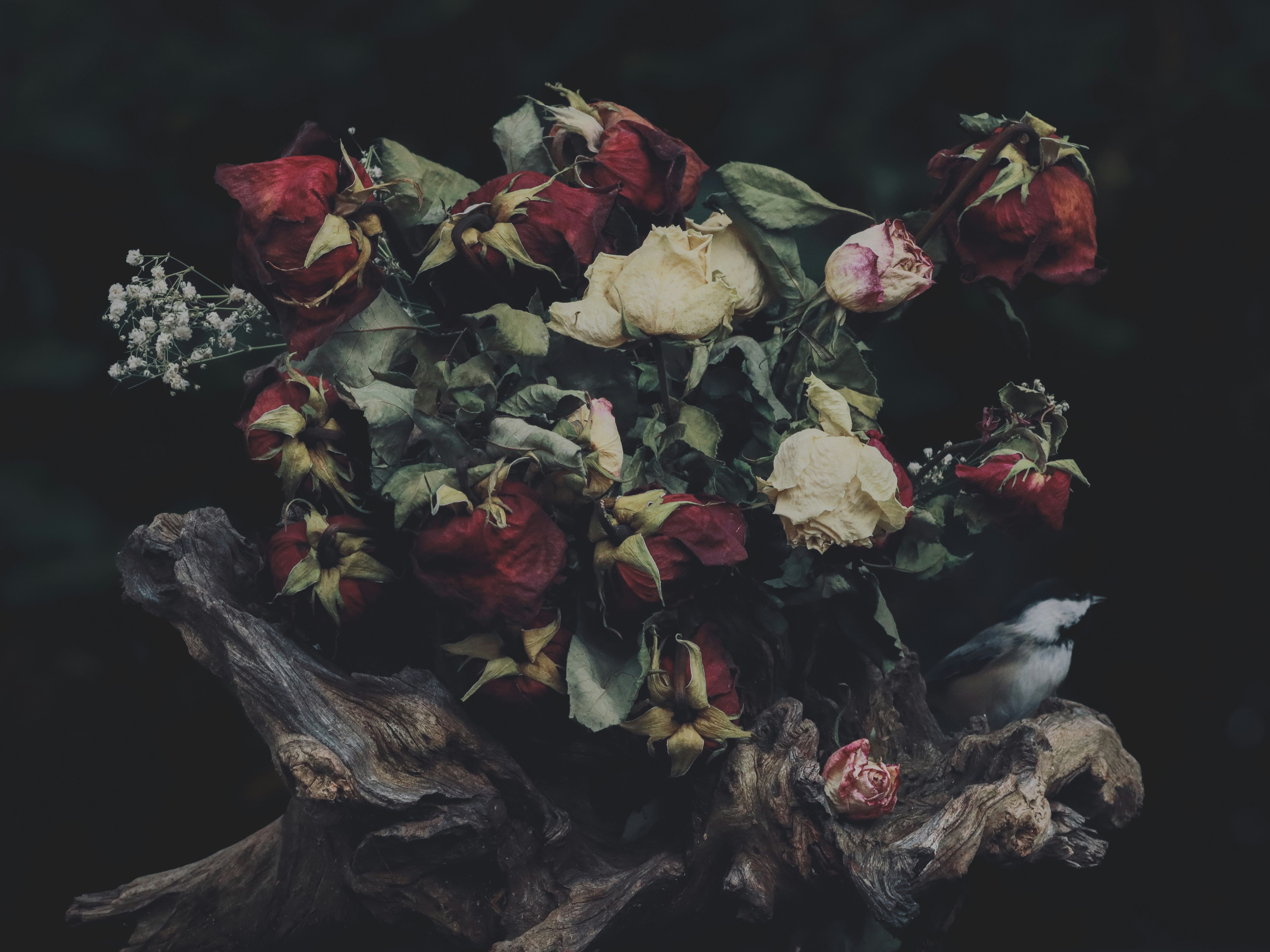 A bouquet of dried roses rests on a weathered wooden base, with a small bird perched nearby, evoking a sense of nostalgia and beauty in decay.