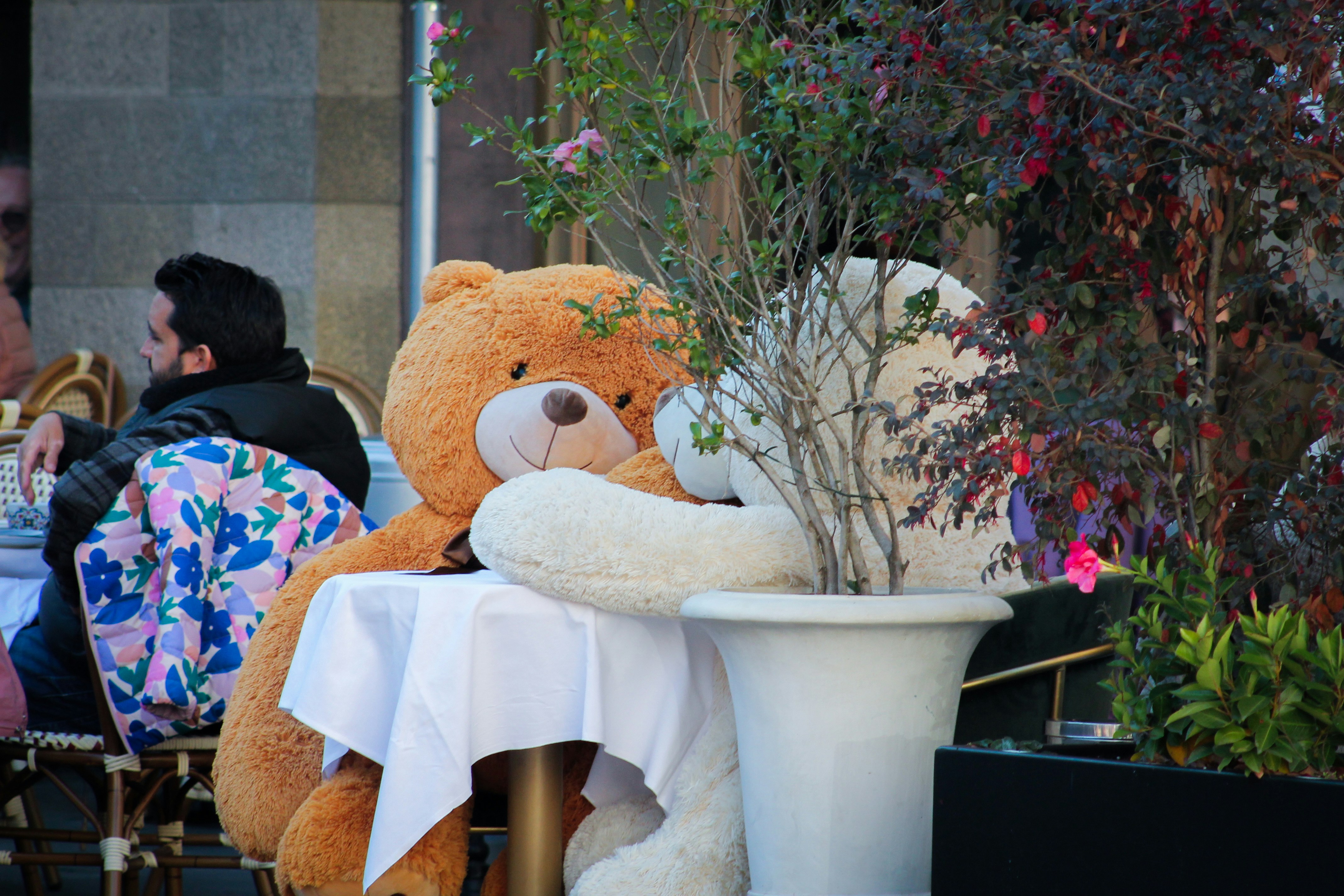 A Cozy Encounter: Bears in a Café