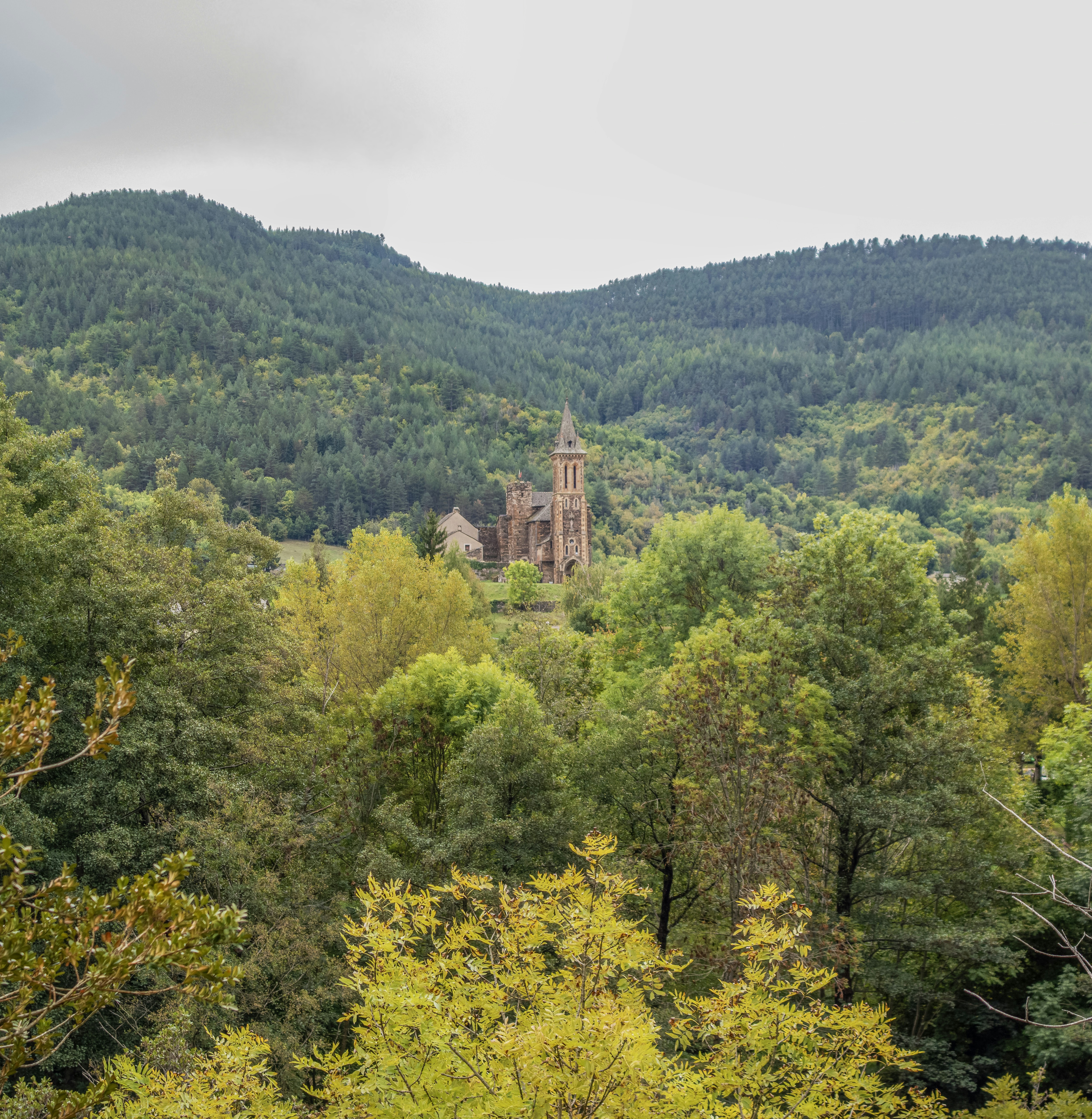 Church Tower in a Verdant Valley Framed by Autumn Forest