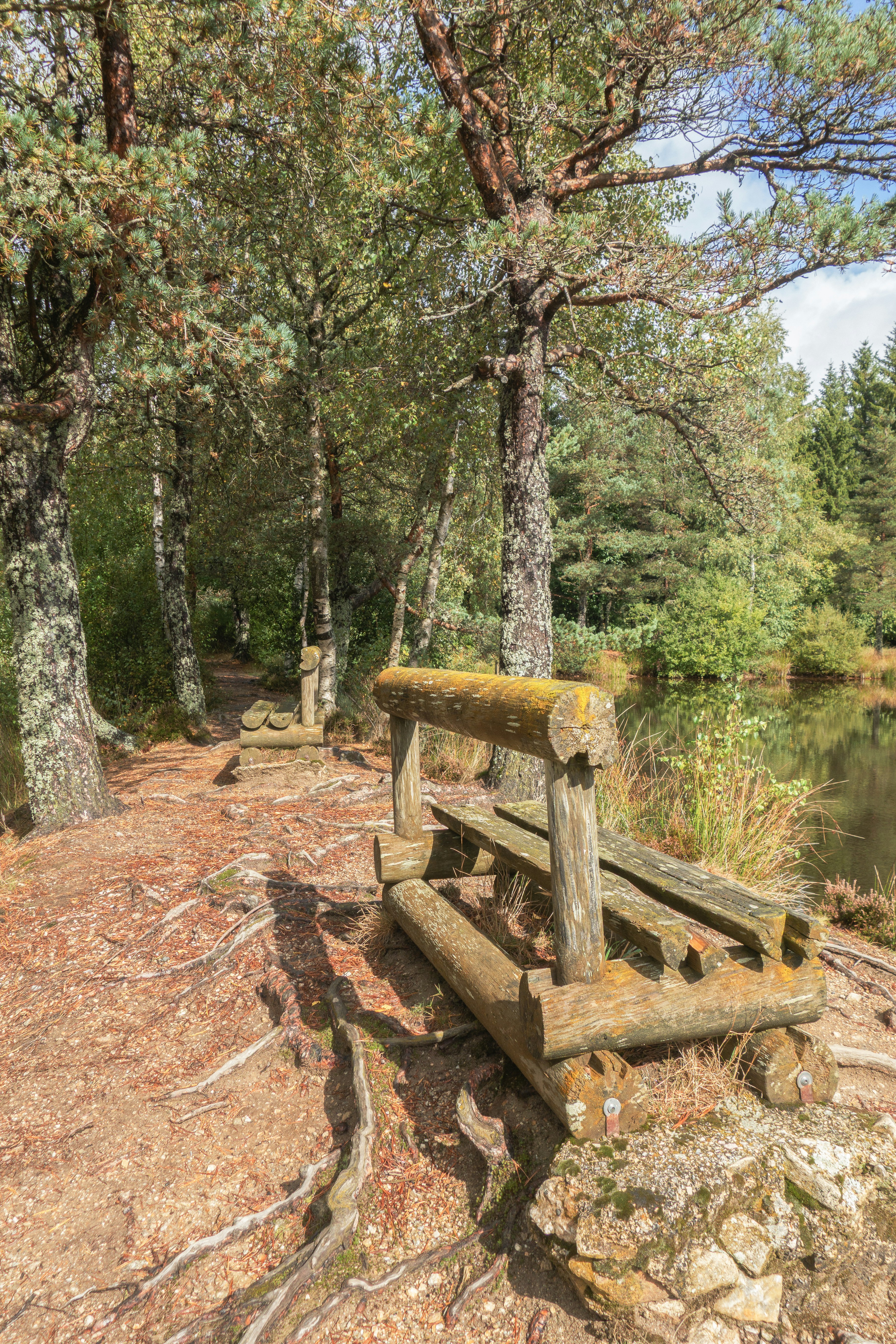 Nature's Tranquil Resting Spot