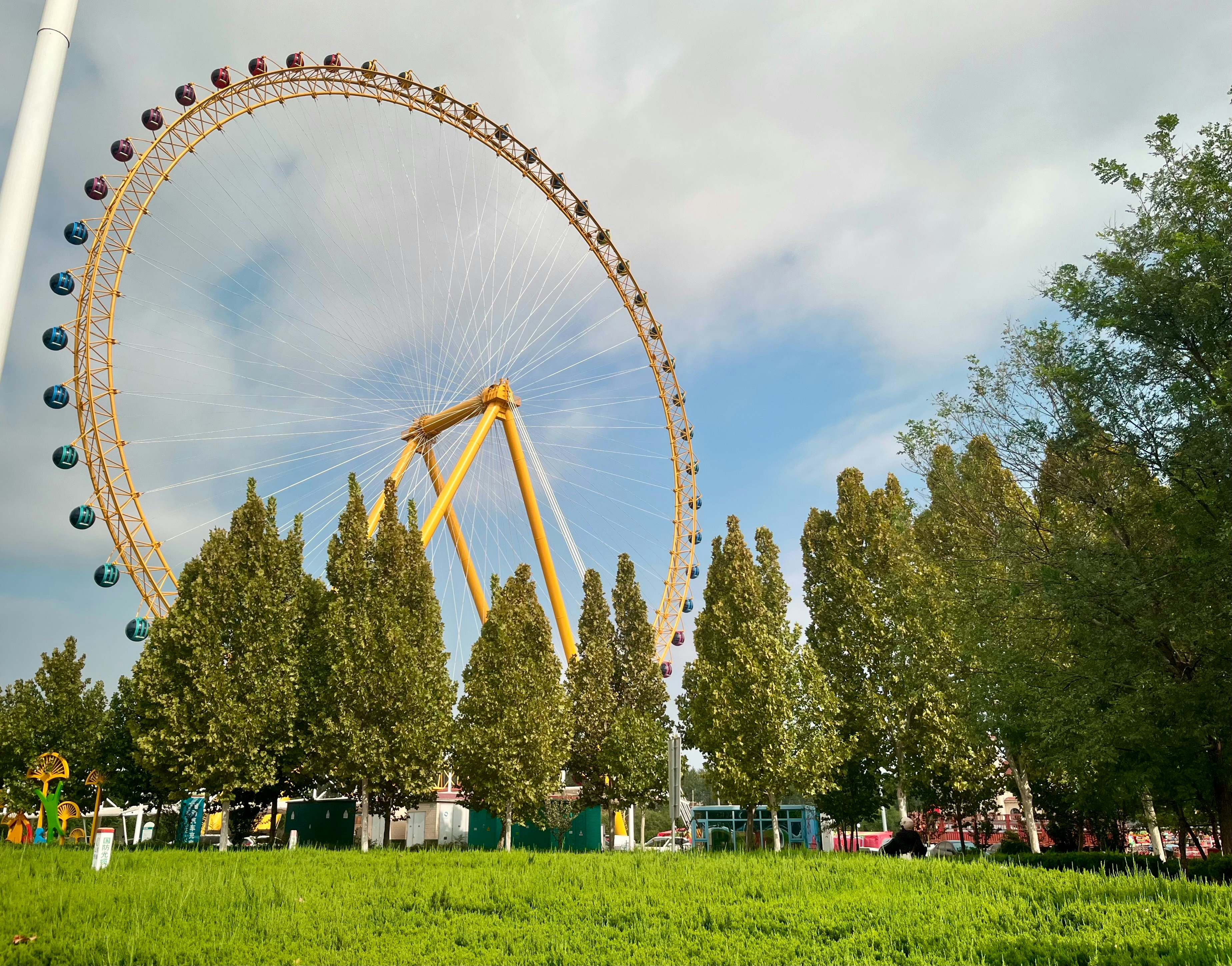 Ferris wheel with trees and green grass