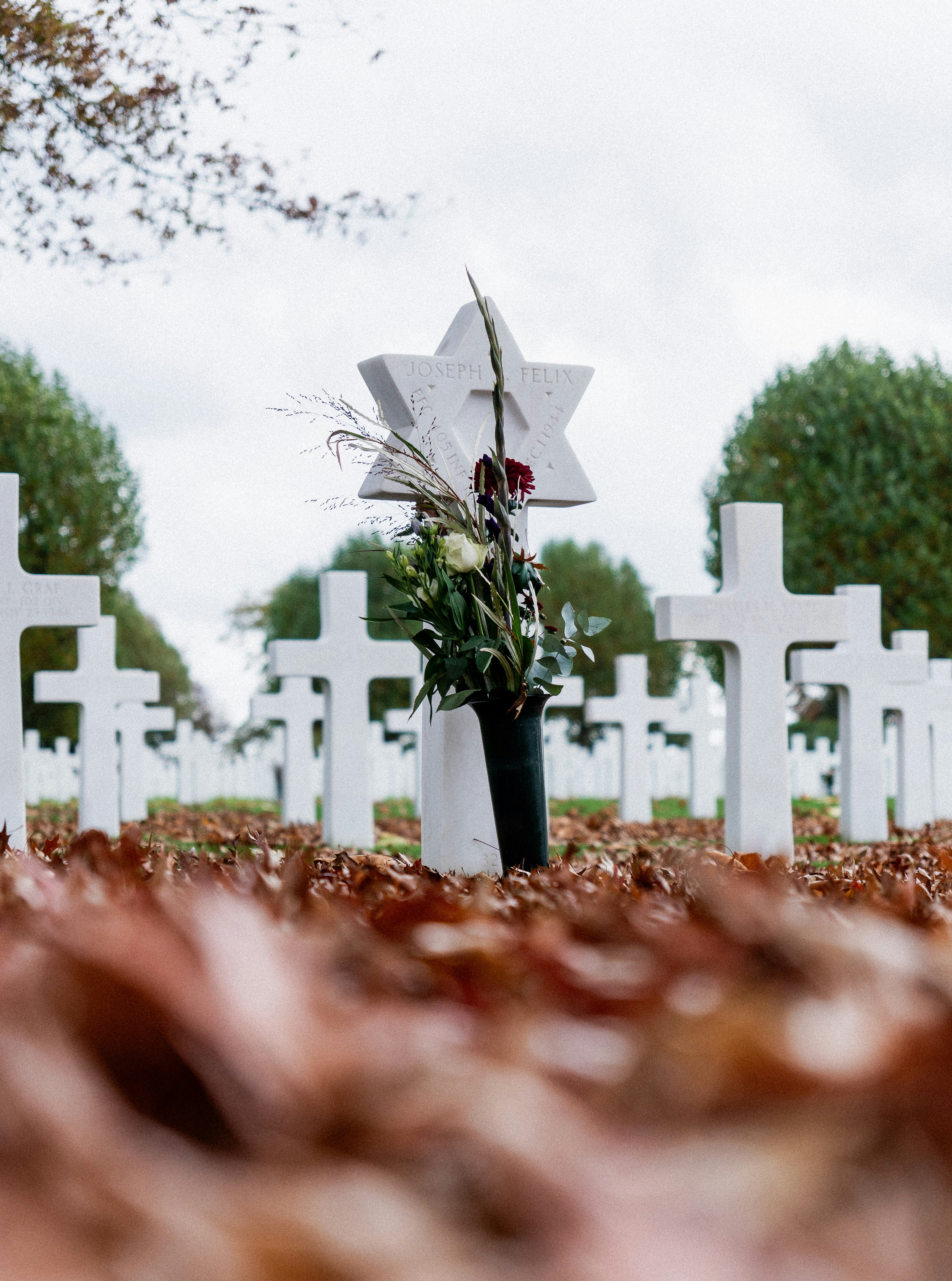 A Quiet Tribute Amidst Eternal Rest